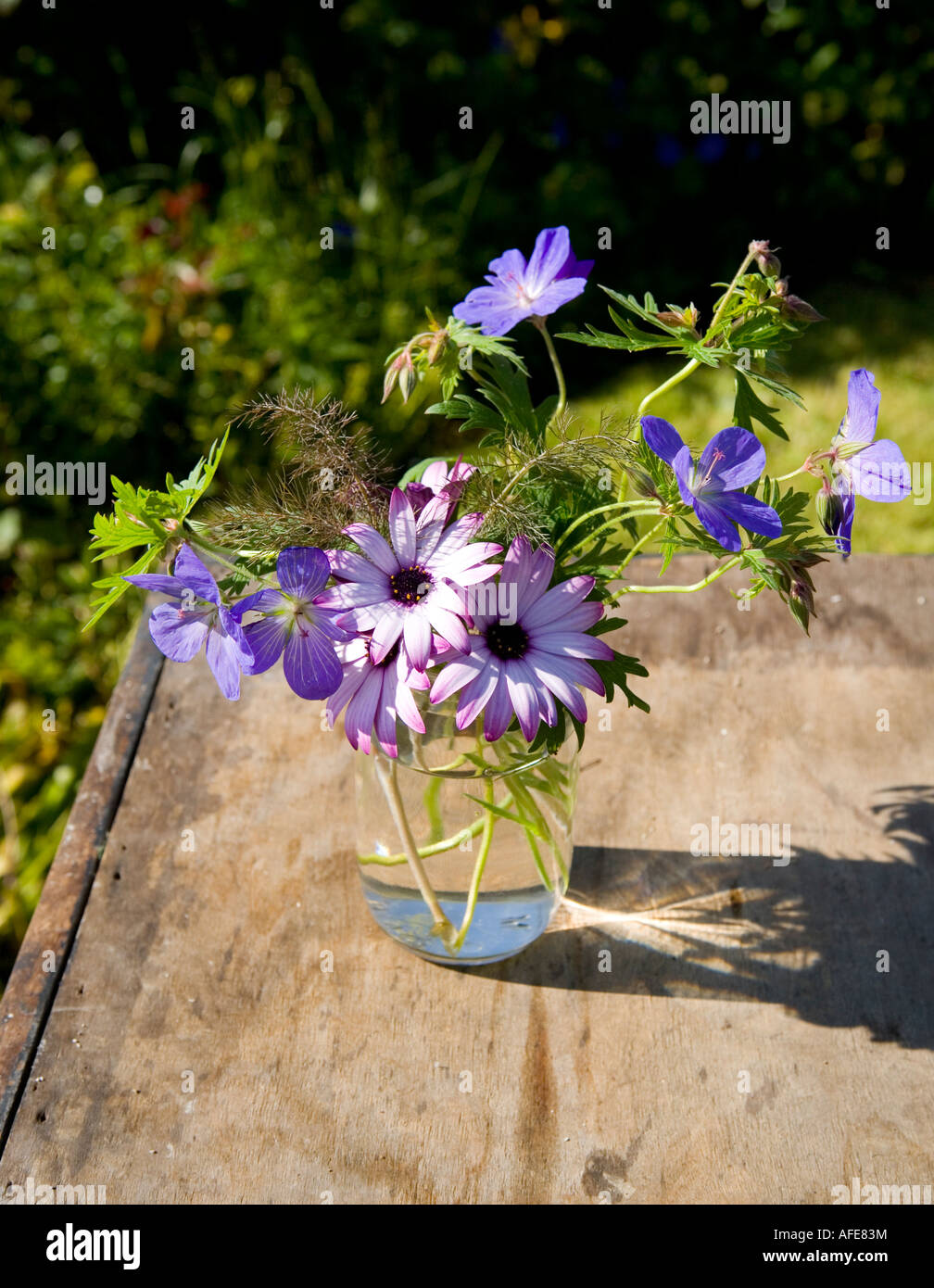 Osteospurnum and Geranium picked from the garden, in a glass jam jar ...
