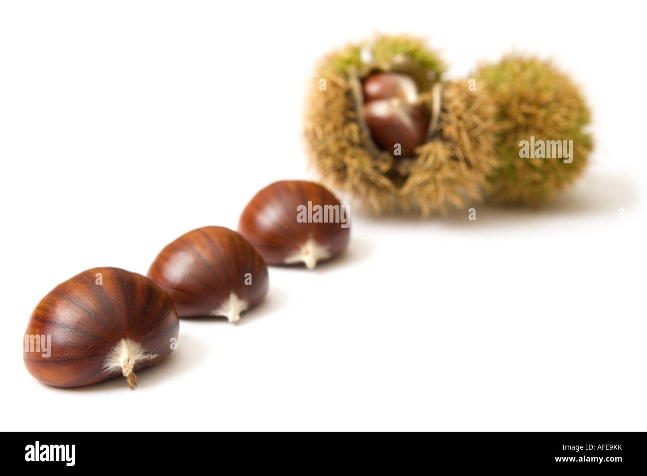 Sweet chestnuts isolated on a white background Stock Photo - Alamy