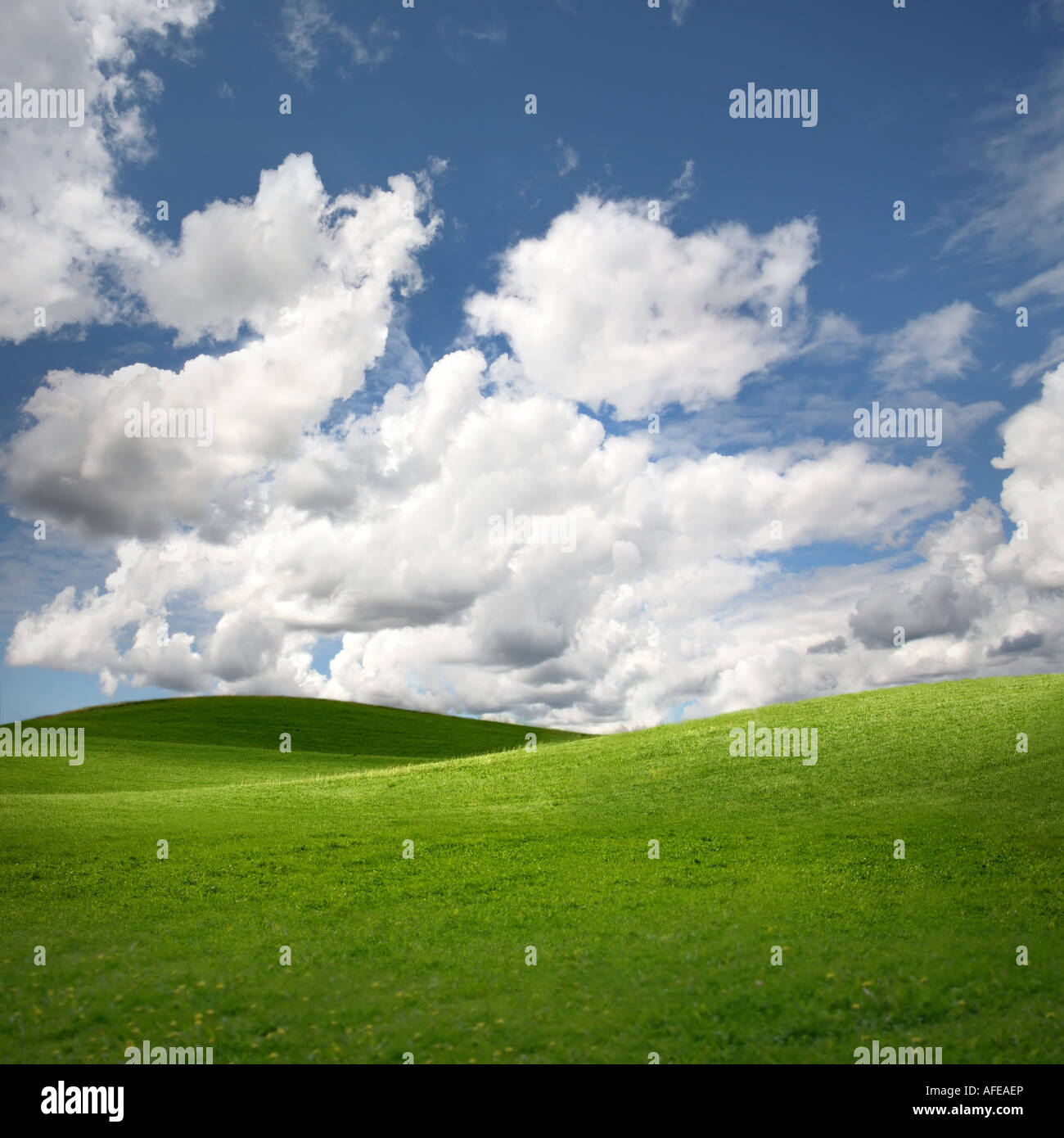 Green field Landscape Stock Photo - Alamy