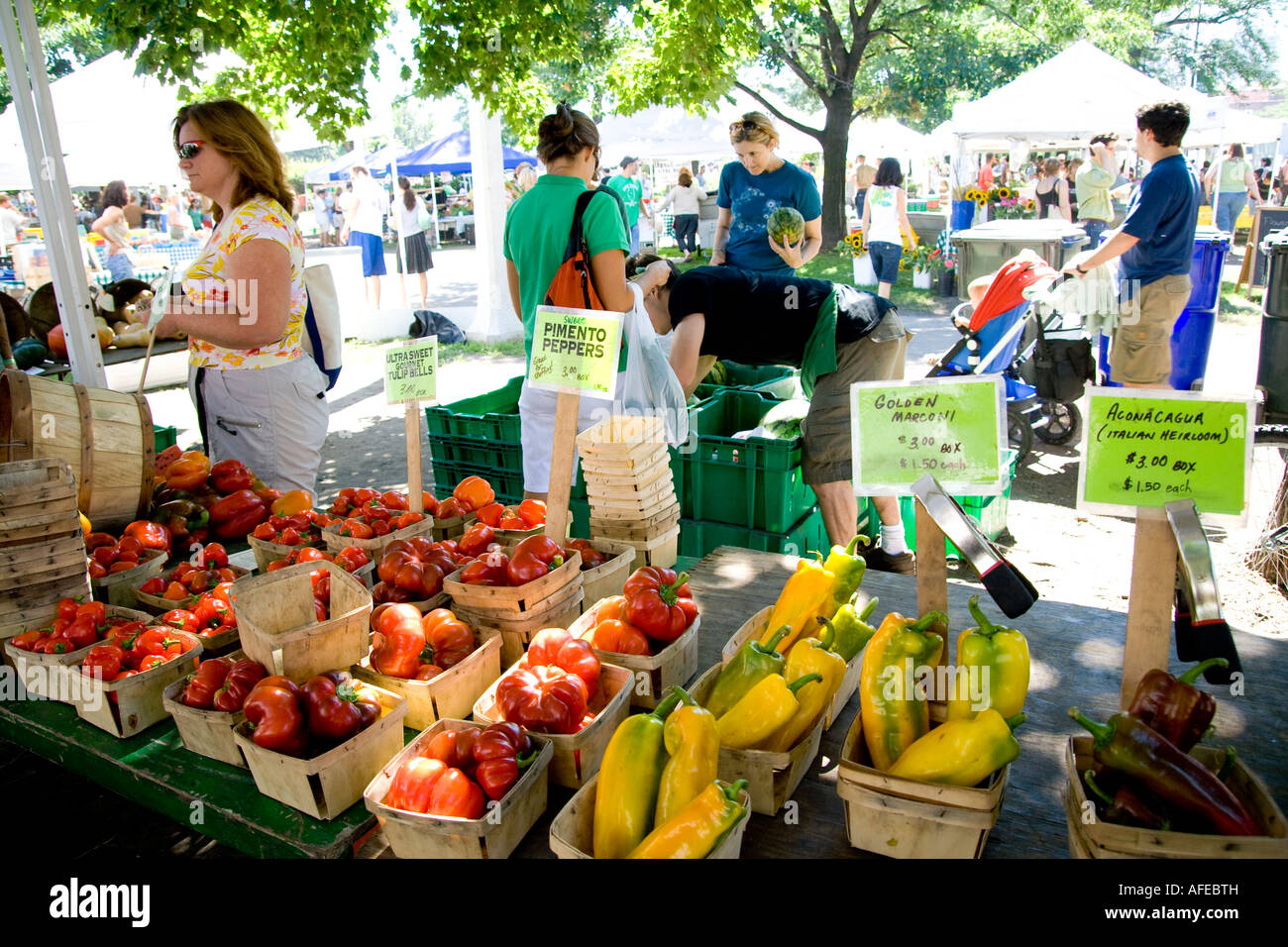 Fancy peppers at the organic Green city farmers market Chicago Illinois ...