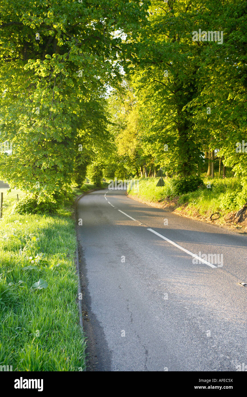 Country Lane Early Summer Norfolk Countryside, UK Stock Photo - Alamy