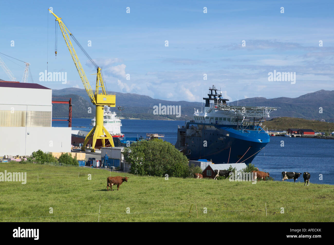 Cattle ship hi-res stock photography and images - Alamy