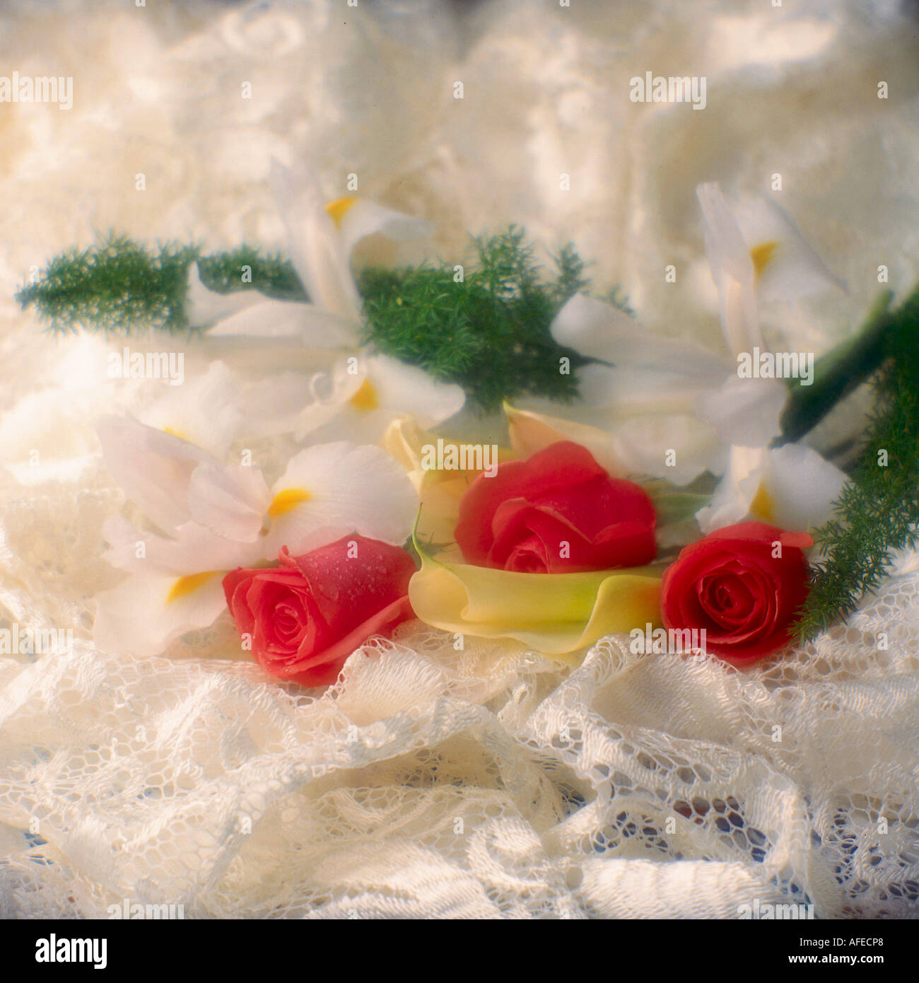 Scene of Flower Stock Photo - Alamy