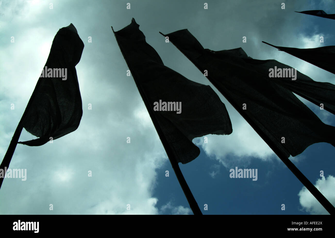 Prayer flags in Sikkim, India Stock Photo - Alamy