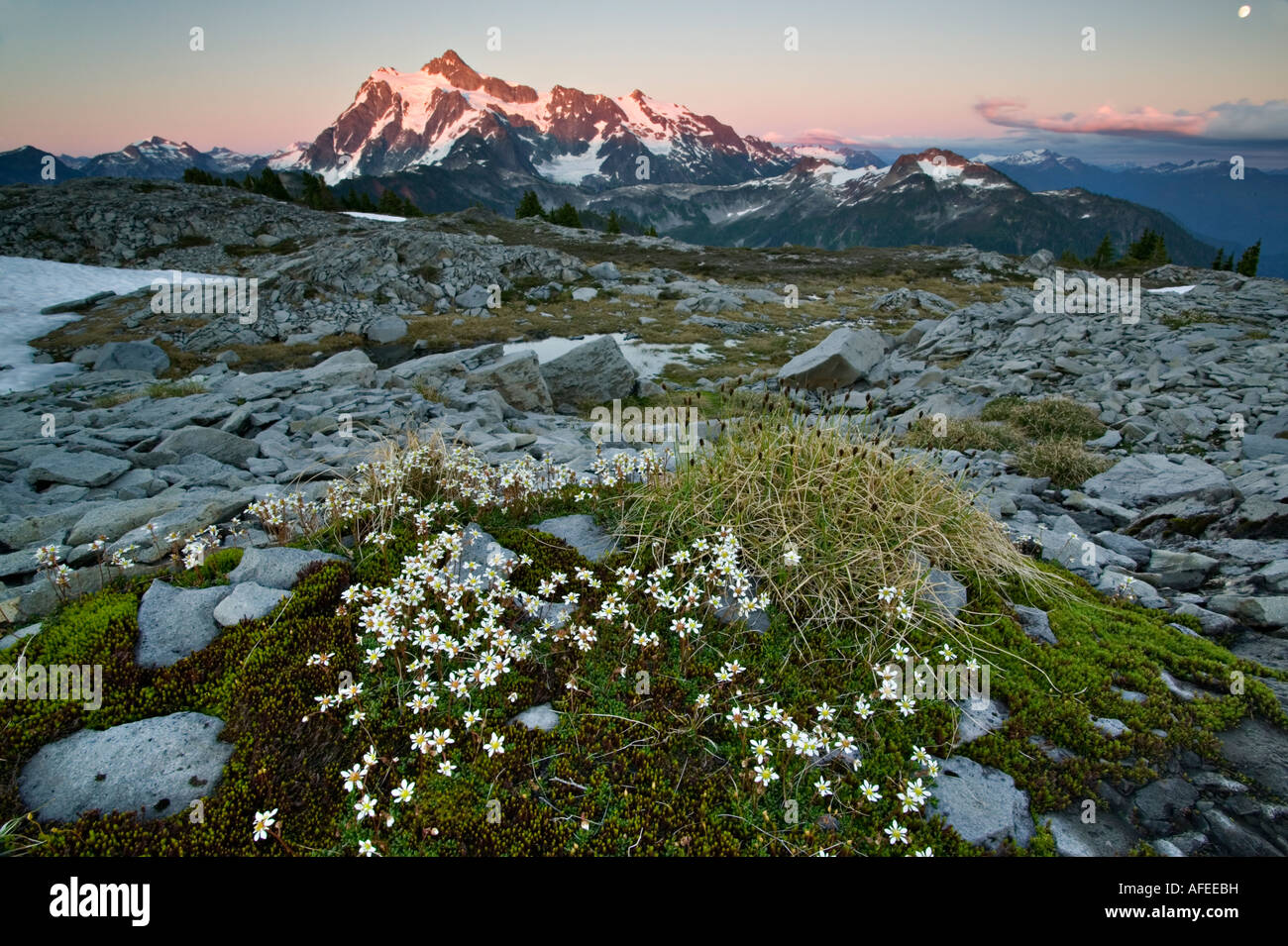 Mt. Shuksan sunset Stock Photo - Alamy