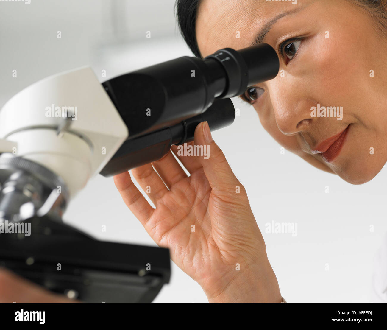 Search and inspection laboratory hi-res stock photography and images ...