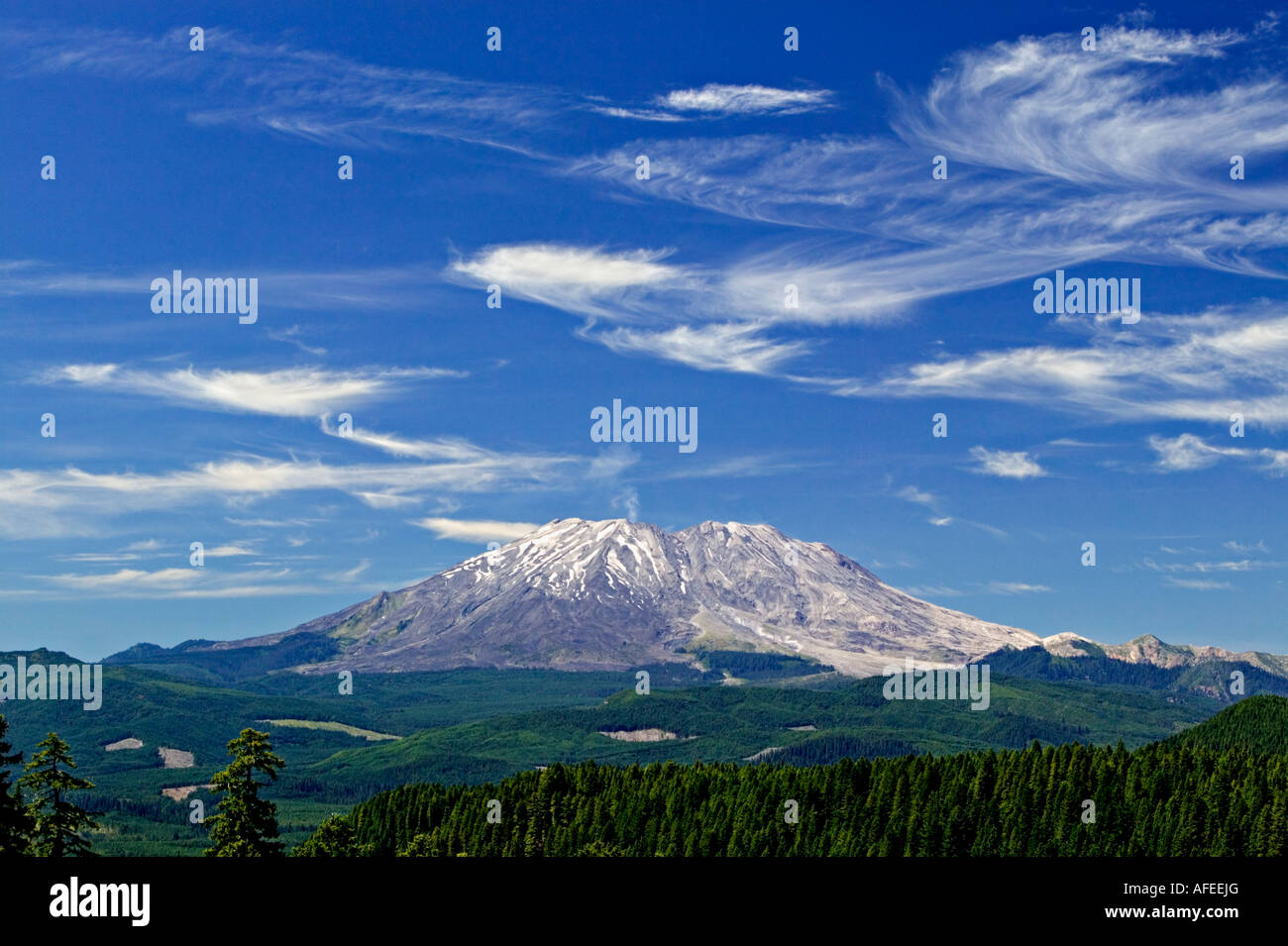 Mt. St. Helens National monument Stock Photo - Alamy