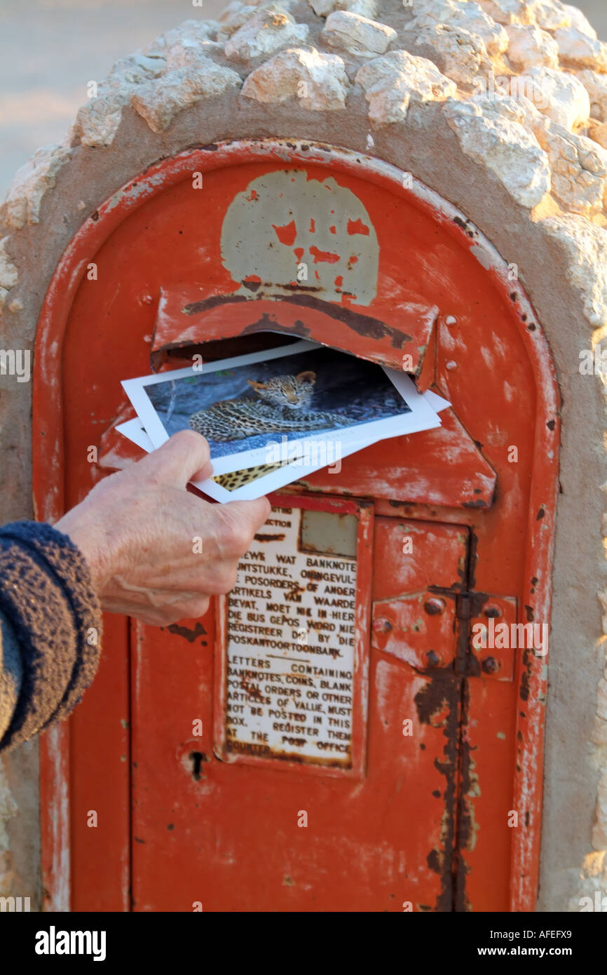 Picture postcards being posted into a red postbox. Kalahari camp box ...