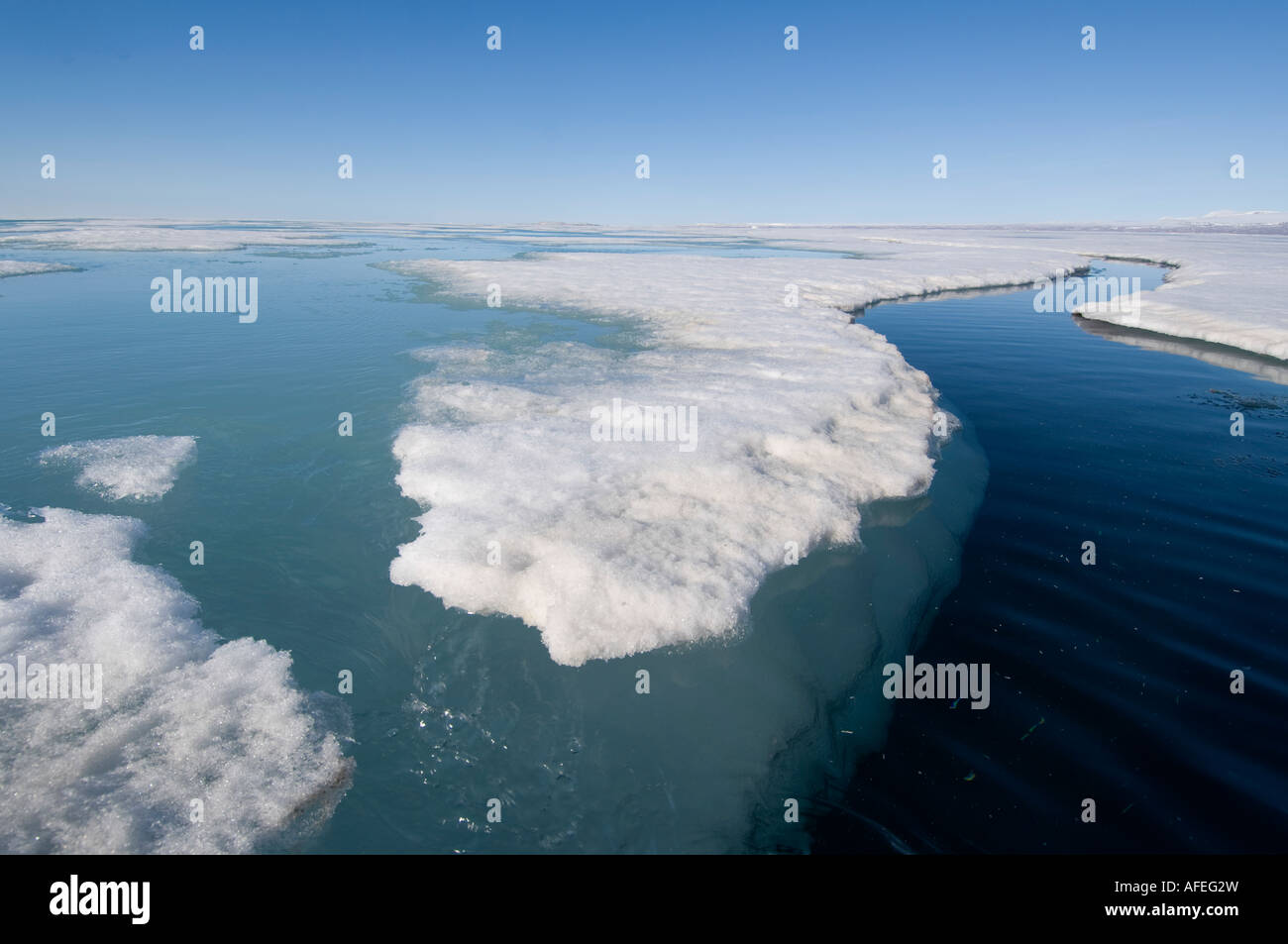 Fresh melt water runoff from the surface of sea ice drains into a crack ...