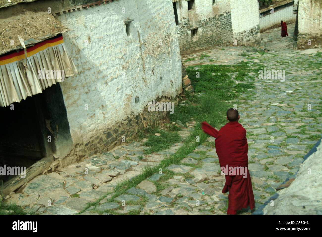 A young Tibetan novice monk in a monastery in Tibet Stock Photo - Alamy