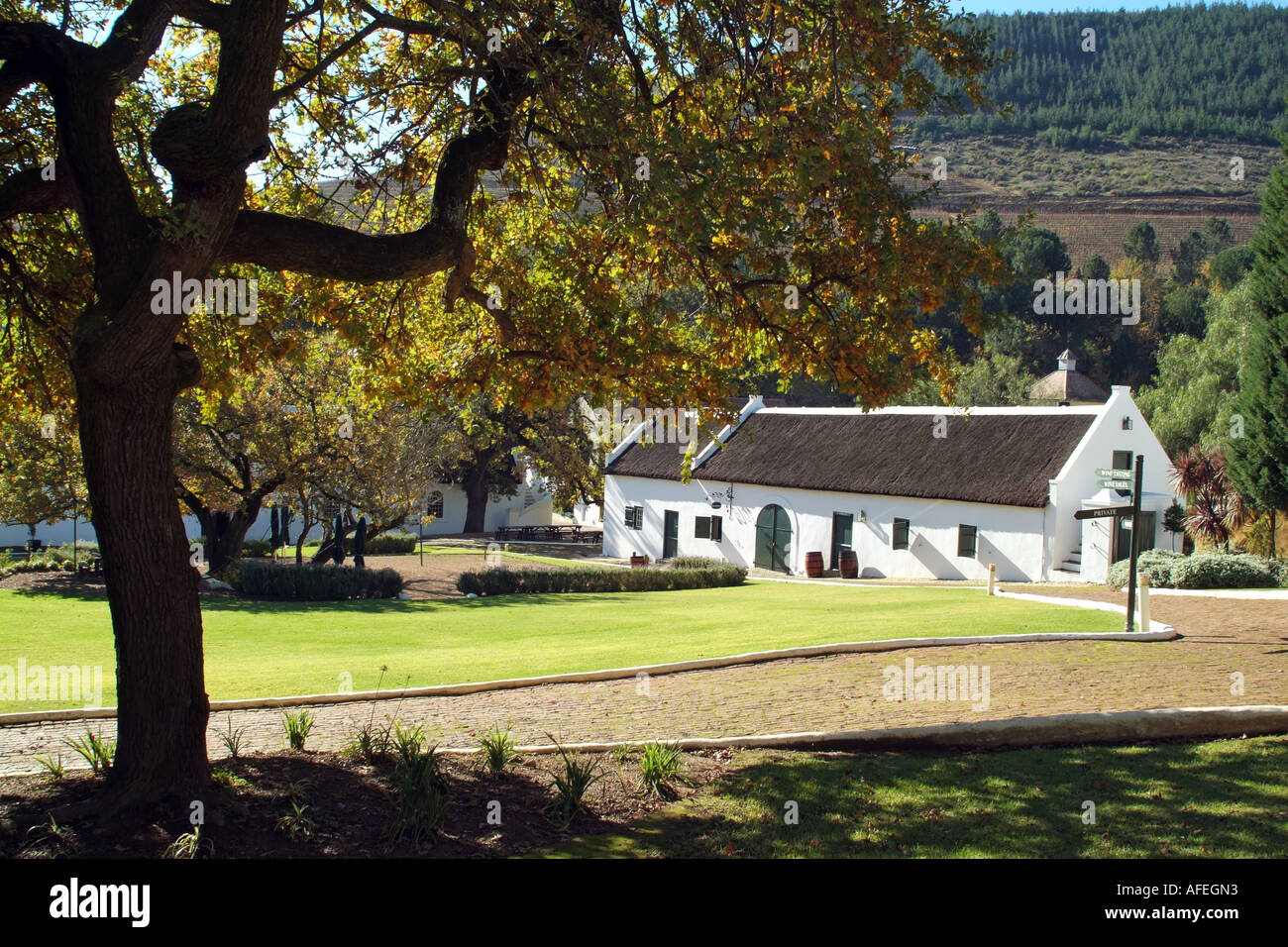 Morgenhof Wine Estate Stellenbosch western cape South Africa RSQ ...