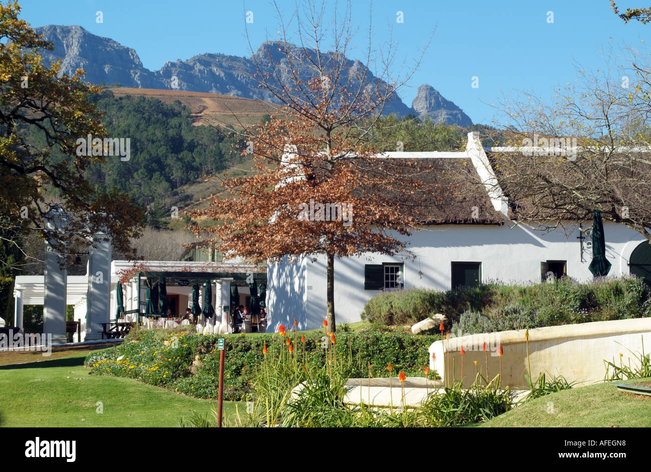 Morgenhof Wine Estate Stellenbosch western cape South Africa RSQ ...