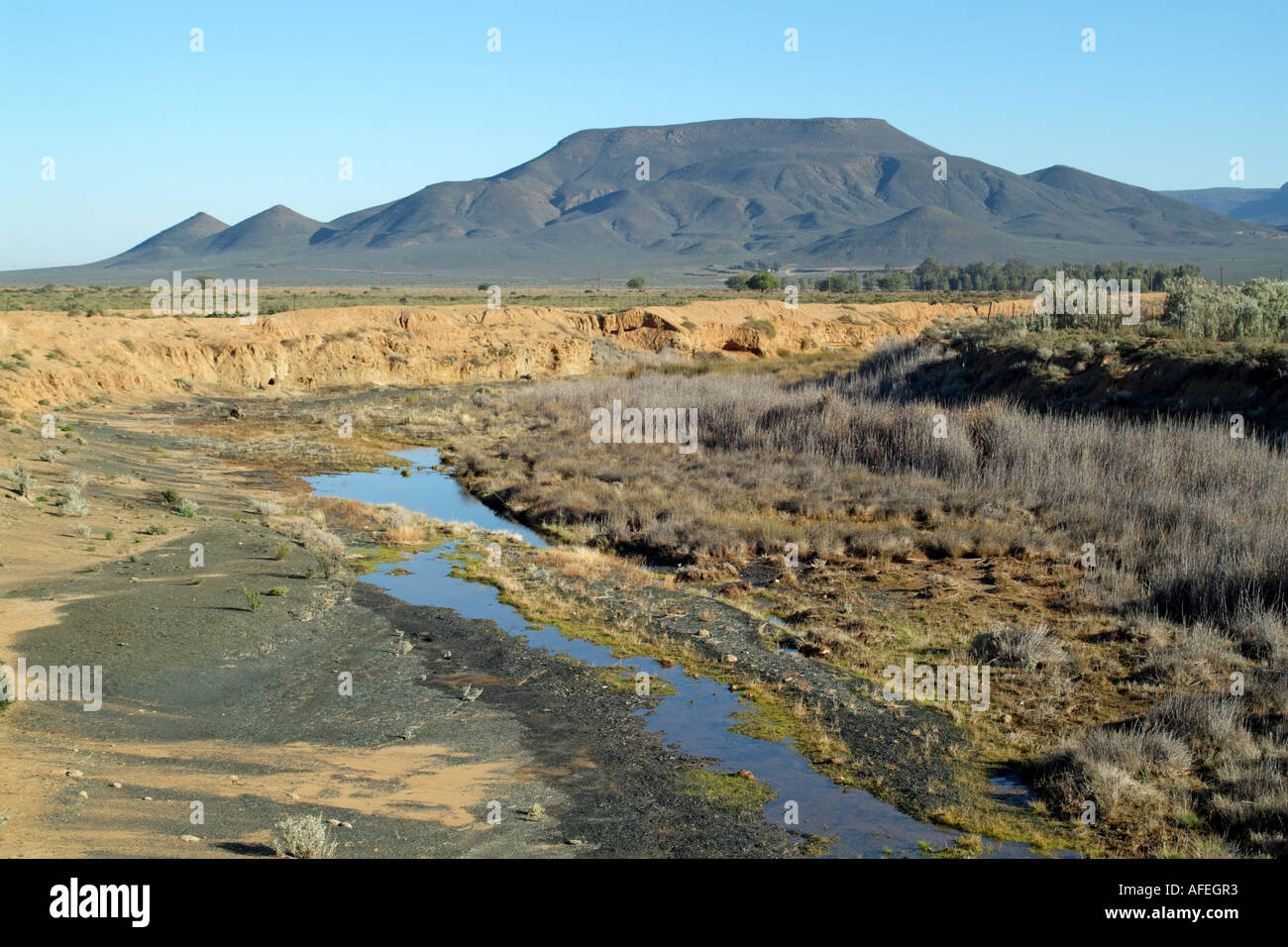 Calvinia High Resolution Stock Photography and Images - Alamy