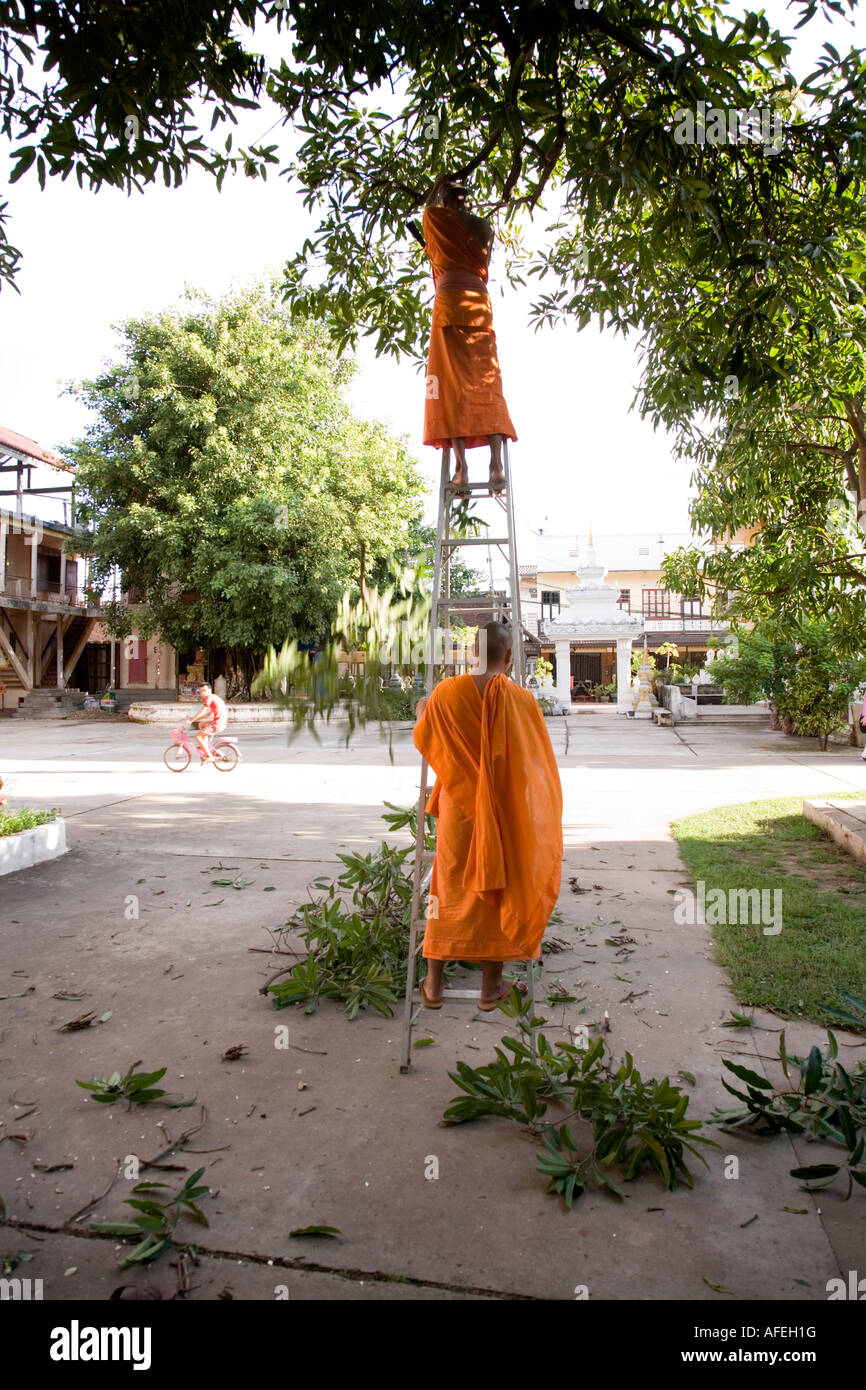 Ladder holding asia hi-res stock photography and images - Alamy
