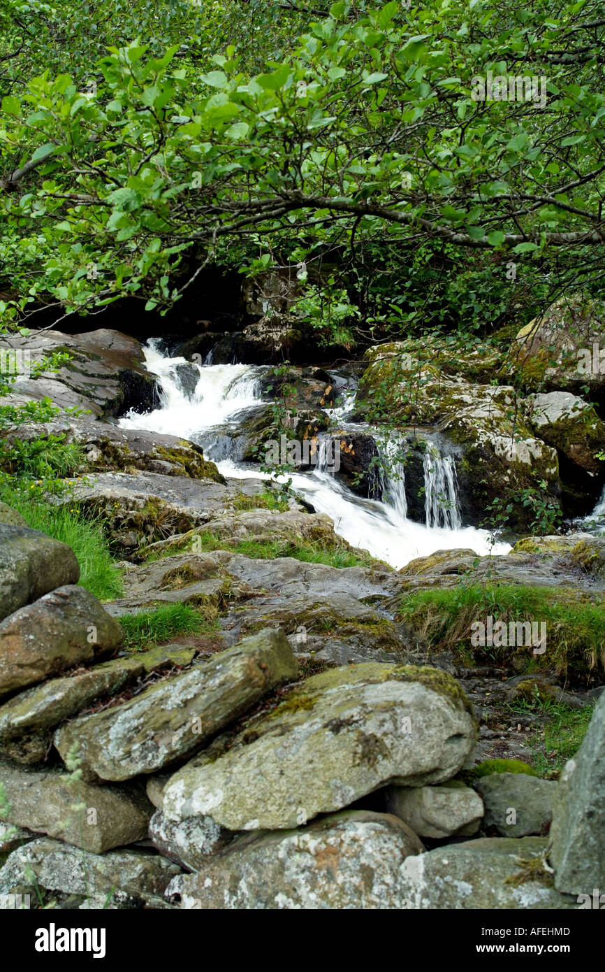 The Lake District Cumbria northern England UK. Waterfalls at Aira Force ...