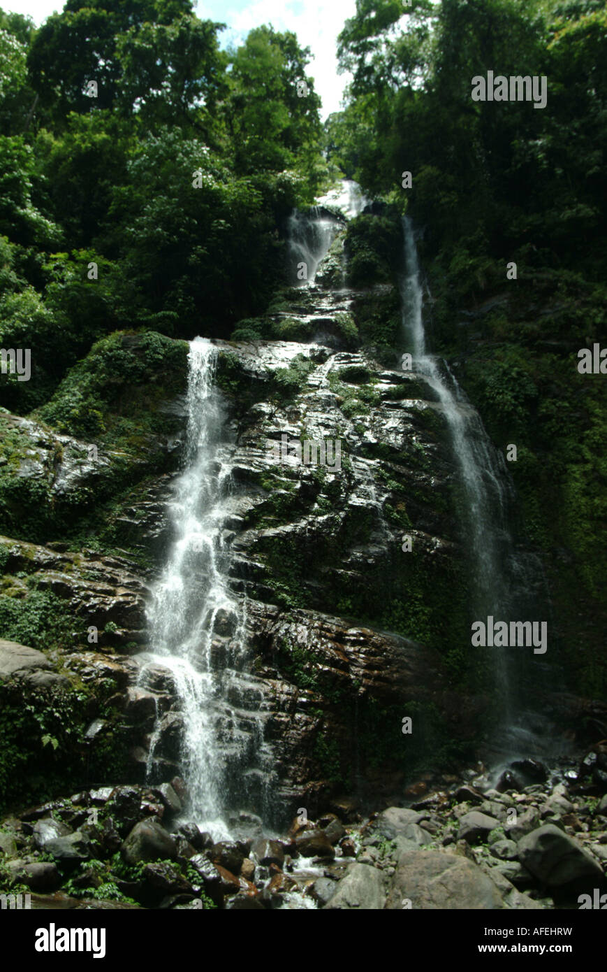 A waterfall in Sikkim, India Stock Photo - Alamy