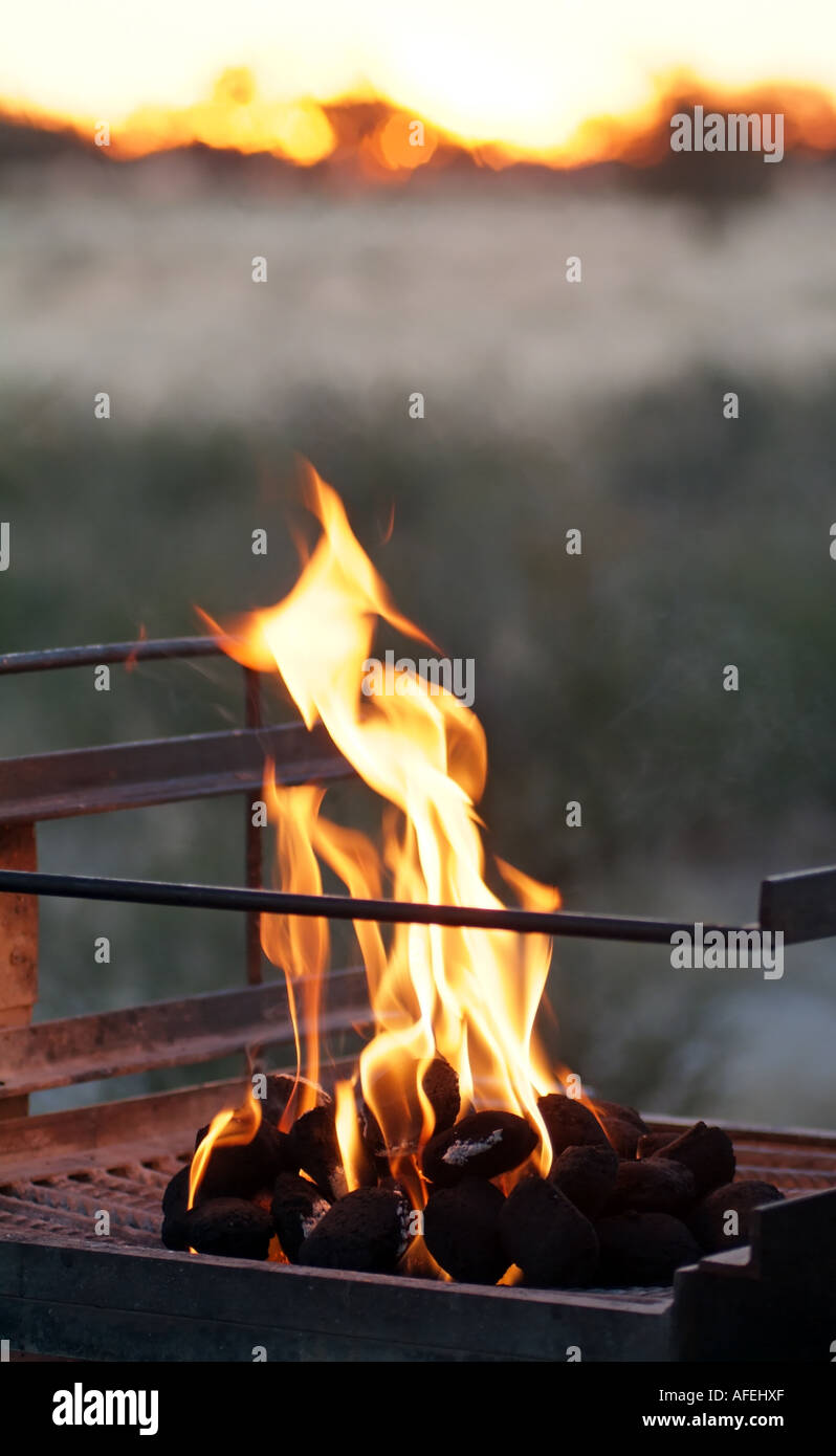 Flames. Open fire. Camping in Kalahari National Park South Africa Stock ...