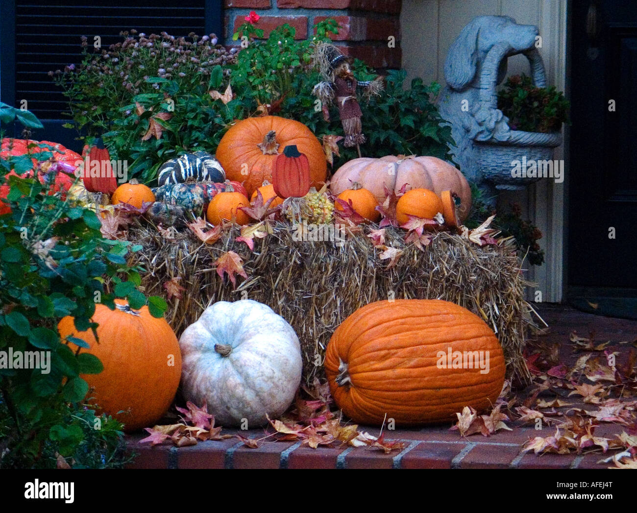 Carved gourd hi-res stock photography and images - Alamy