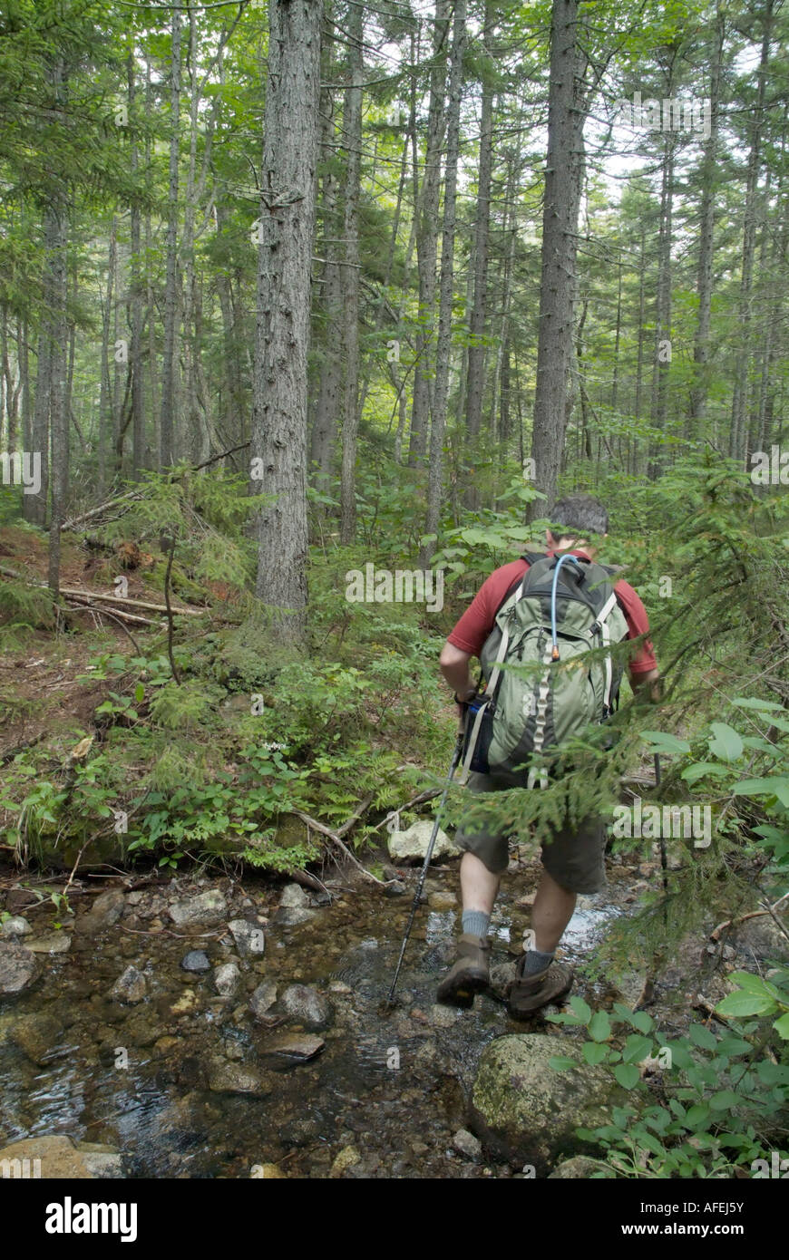 A hiker crosses a brook on Hancock Notch Trail during the summer months ...