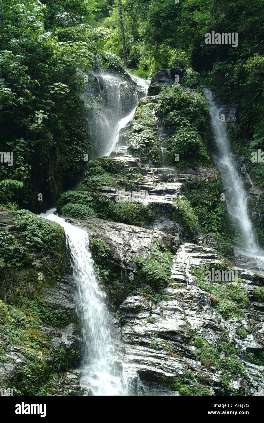 Waterfall in sikkim hi-res stock photography and images - Alamy