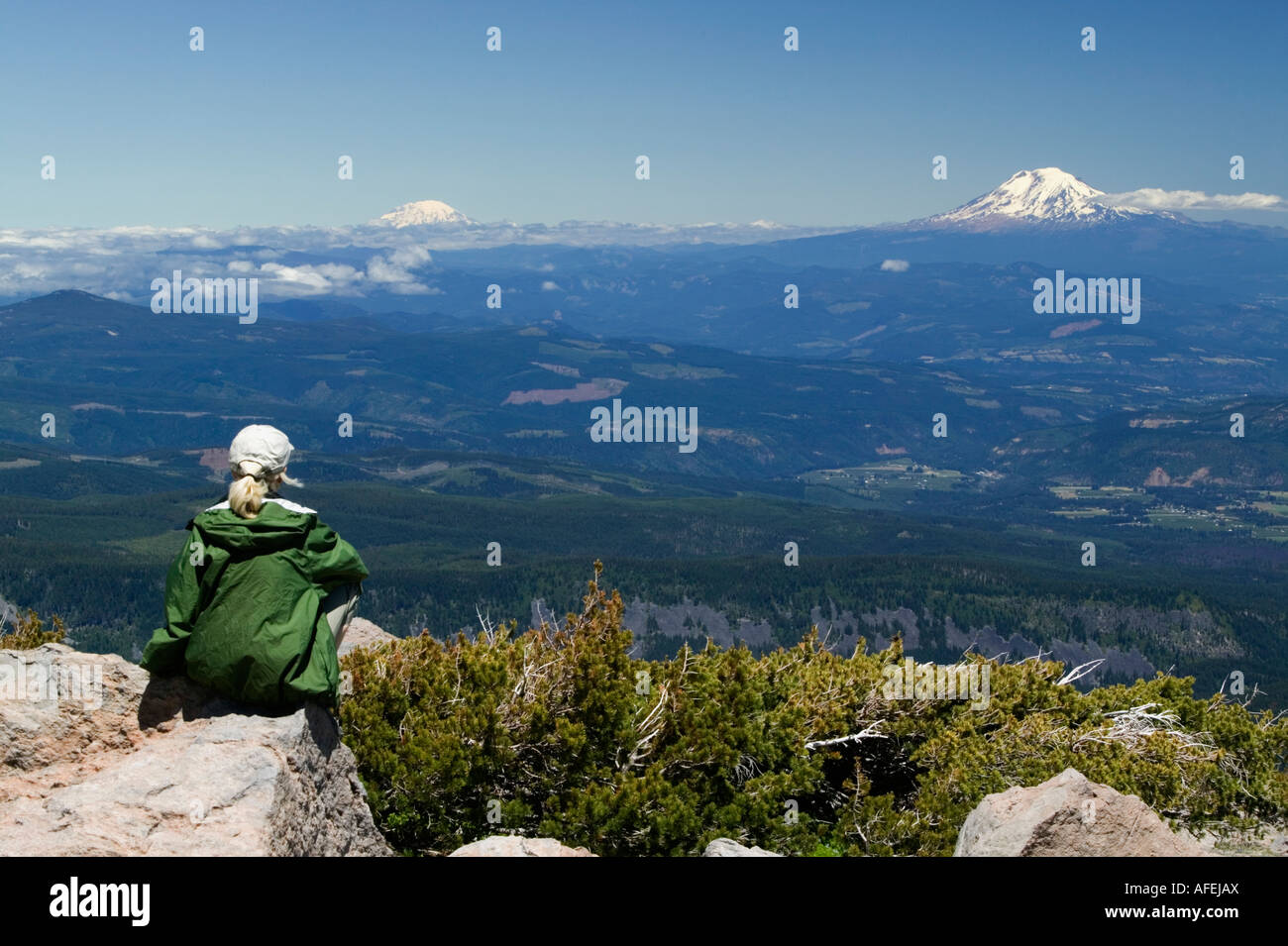 Mt hood summer adventure park hi-res stock photography and images - Alamy