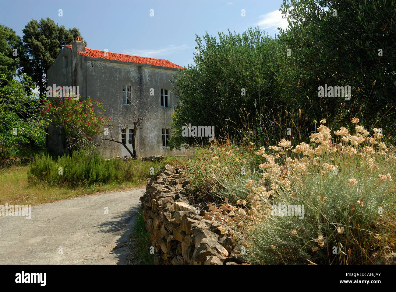 Old farm house in Rab Island, Croatia Stock Photo - Alamy