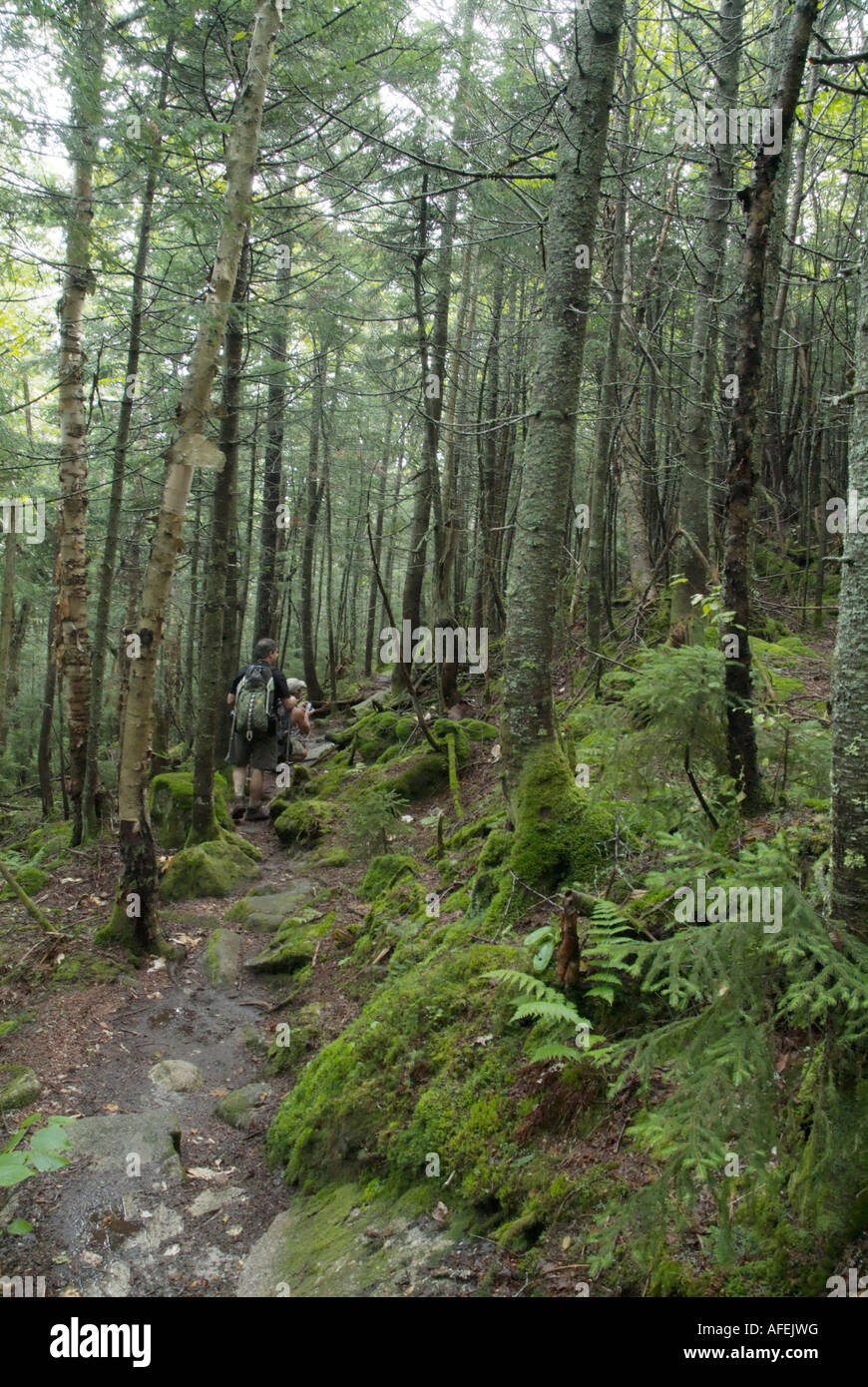 South kinsman hi-res stock photography and images - Alamy