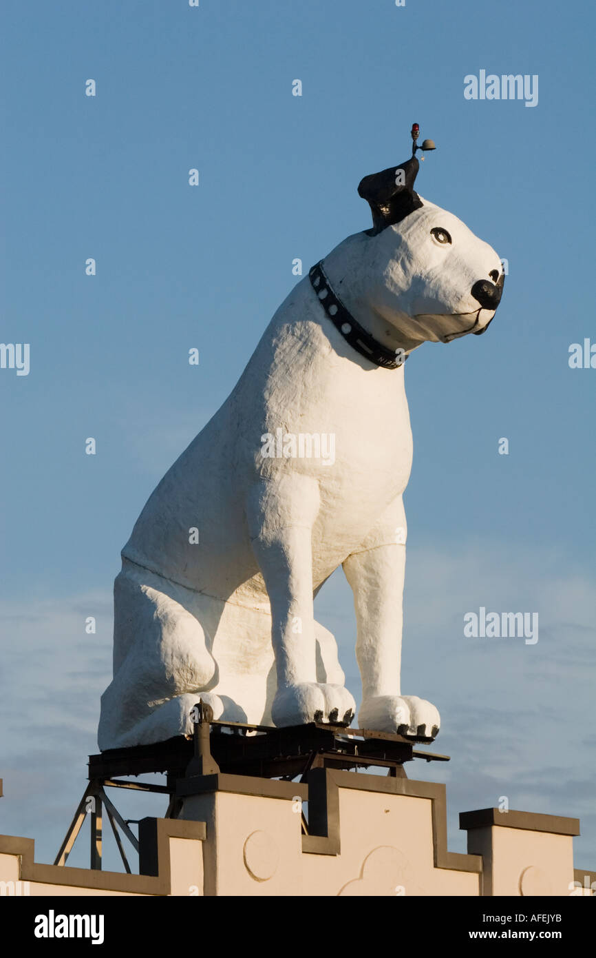 His Masters Voice cocks head of Nipper 25 foot tall statue Albany New ...