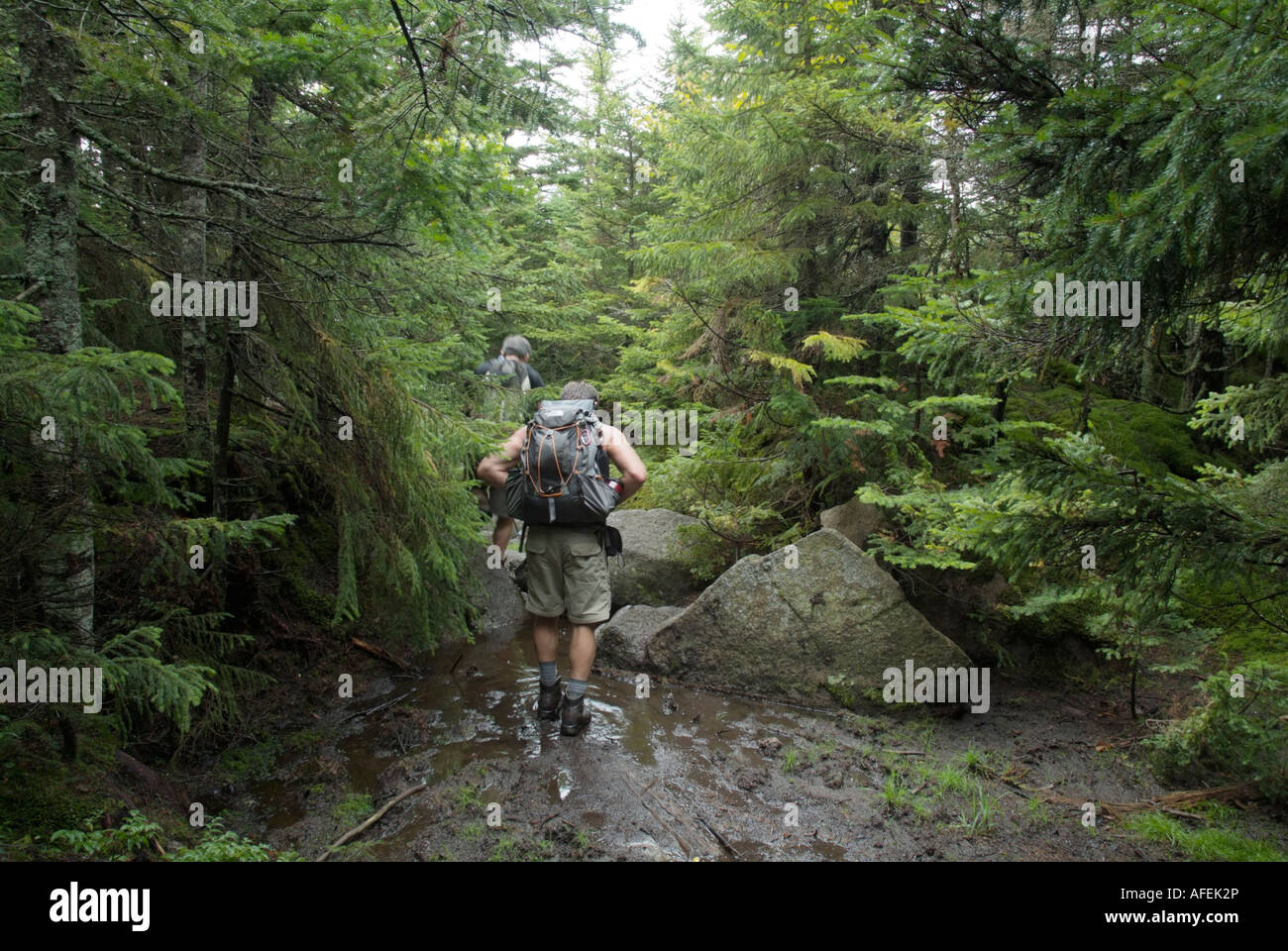Appalachian Trail..Hikers heading south on Kinsman Ridge Trail in the ...
