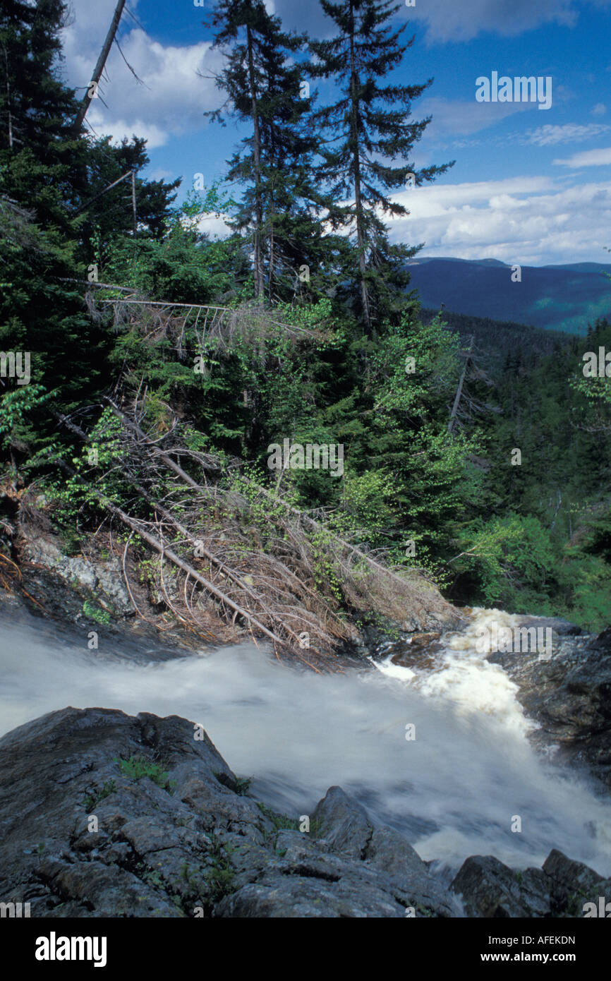 Nancy pond trail hi-res stock photography and images - Alamy