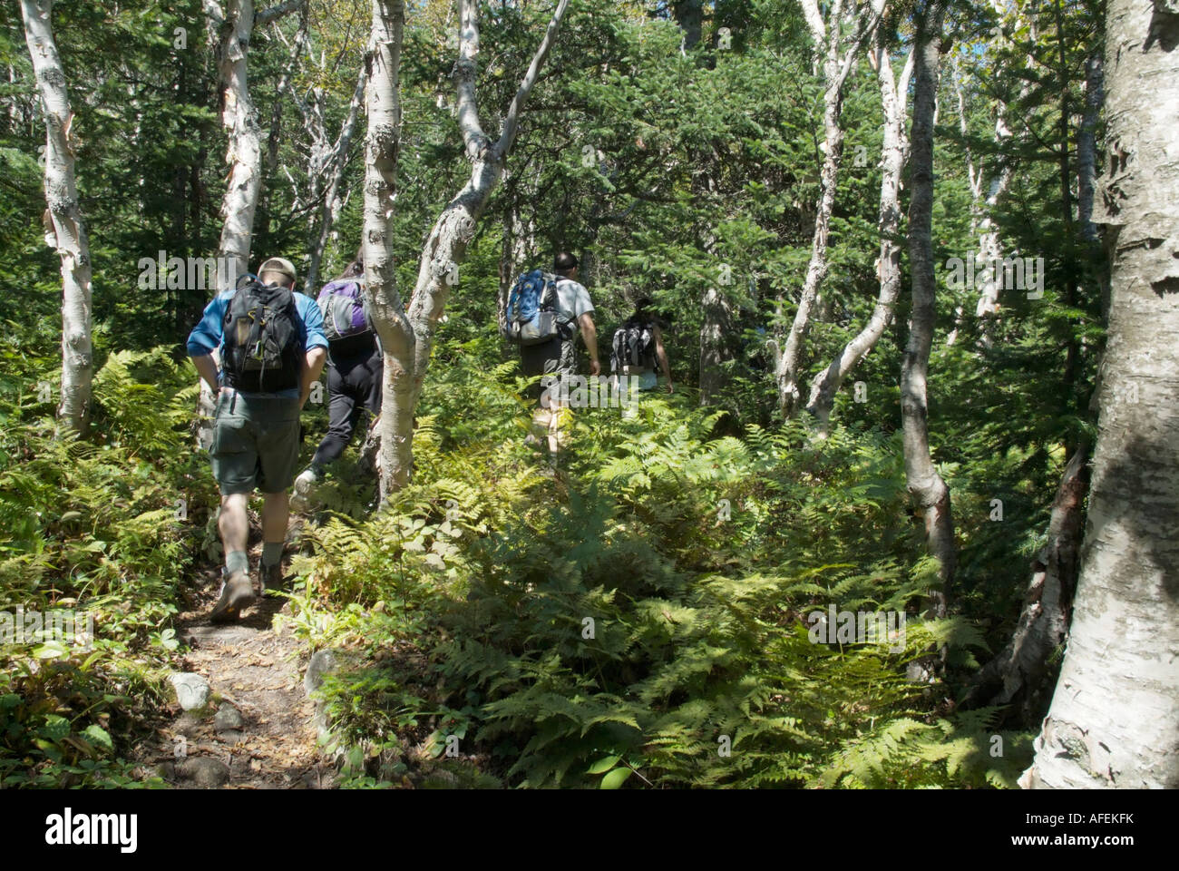Hikers descend the Old Fire Warden s Trail after reaching the summit of ...