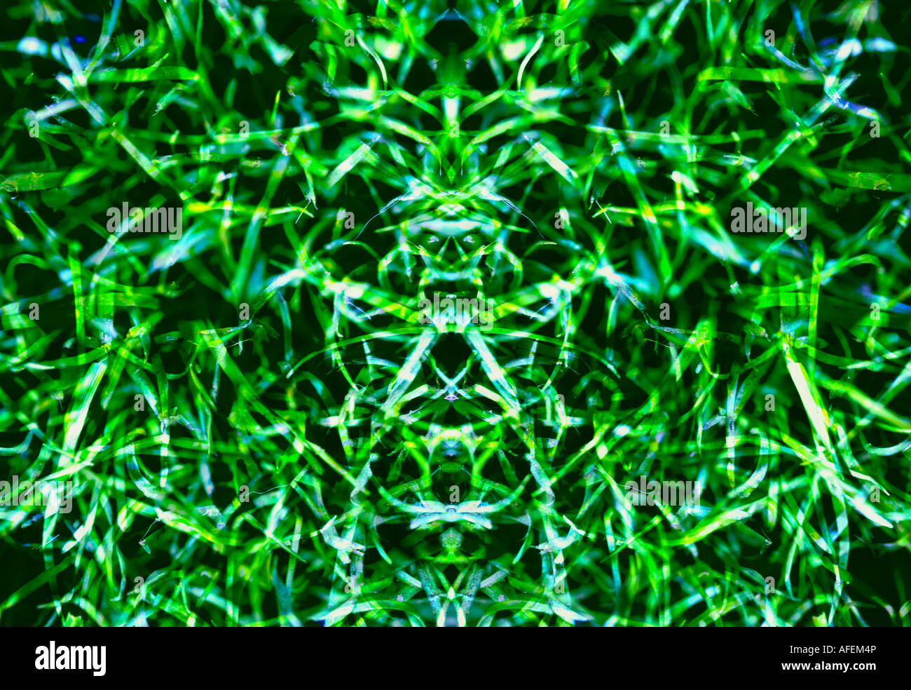 Fill pattern hi-res stock photography and images - Alamy