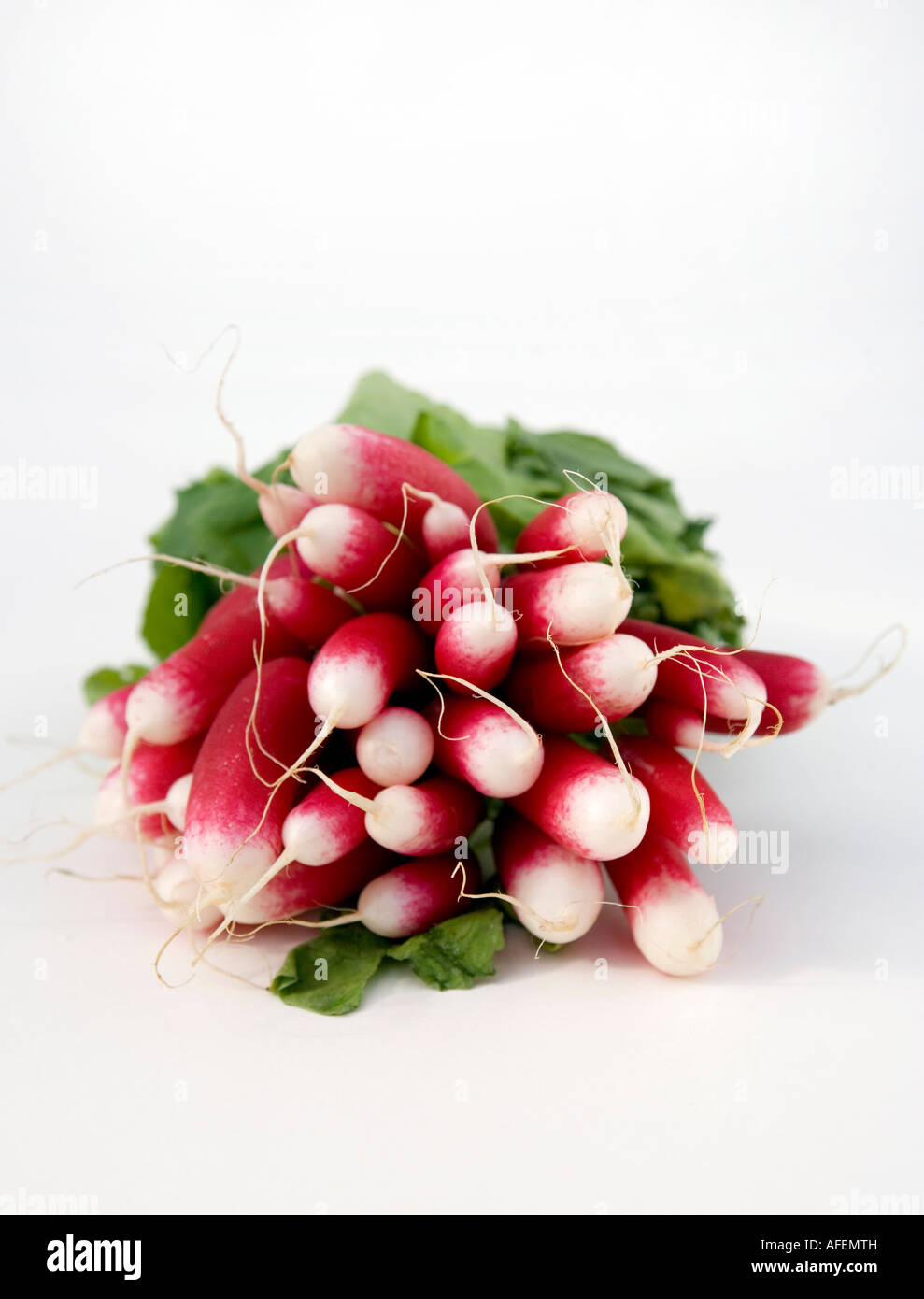 Bunch of raddish studio shot background hi-res stock photography and ...