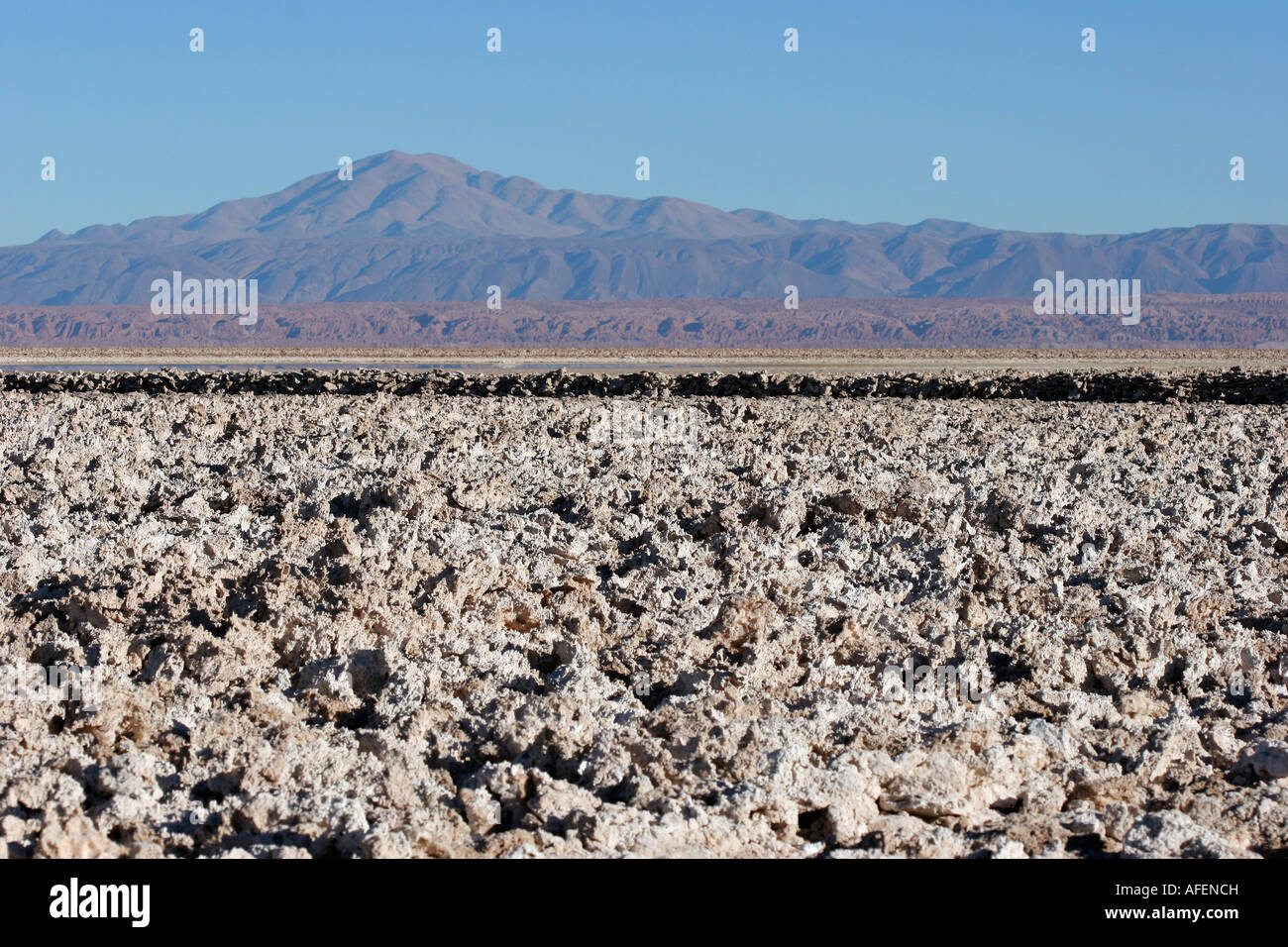 Salt crust Salar de Atacama Stock Photo - Alamy