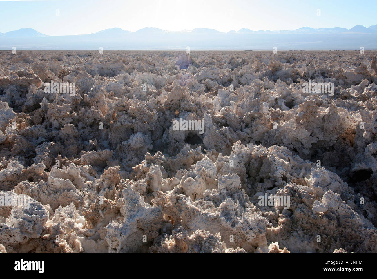 Salar de Atacama salt crust Stock Photo - Alamy