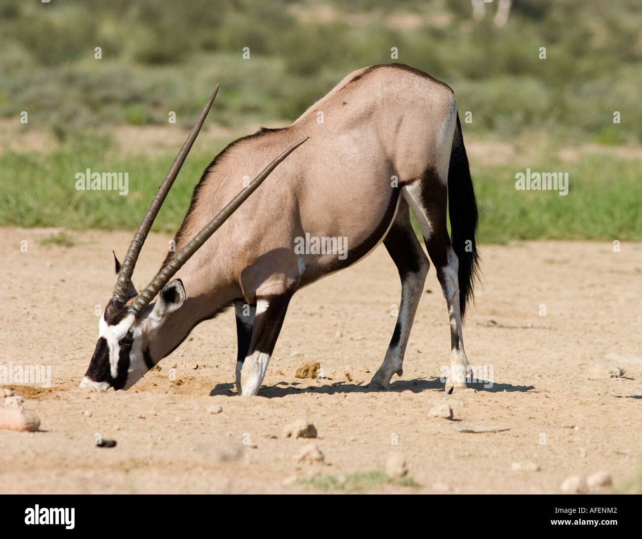 Eating soil africa hi-res stock photography and images - Alamy