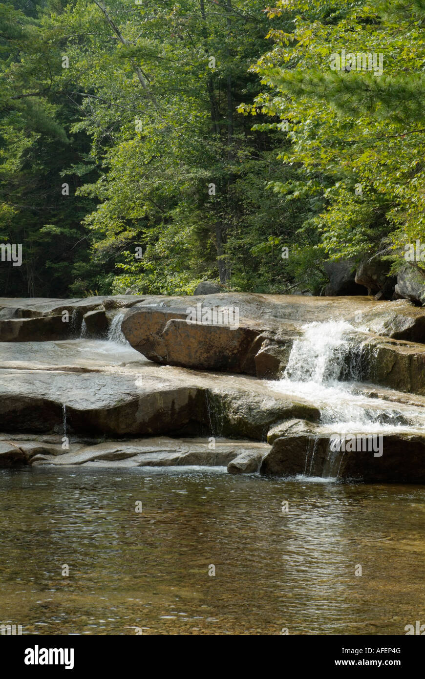 Swift River along the side of Sawyer River Trail. This river is near ...