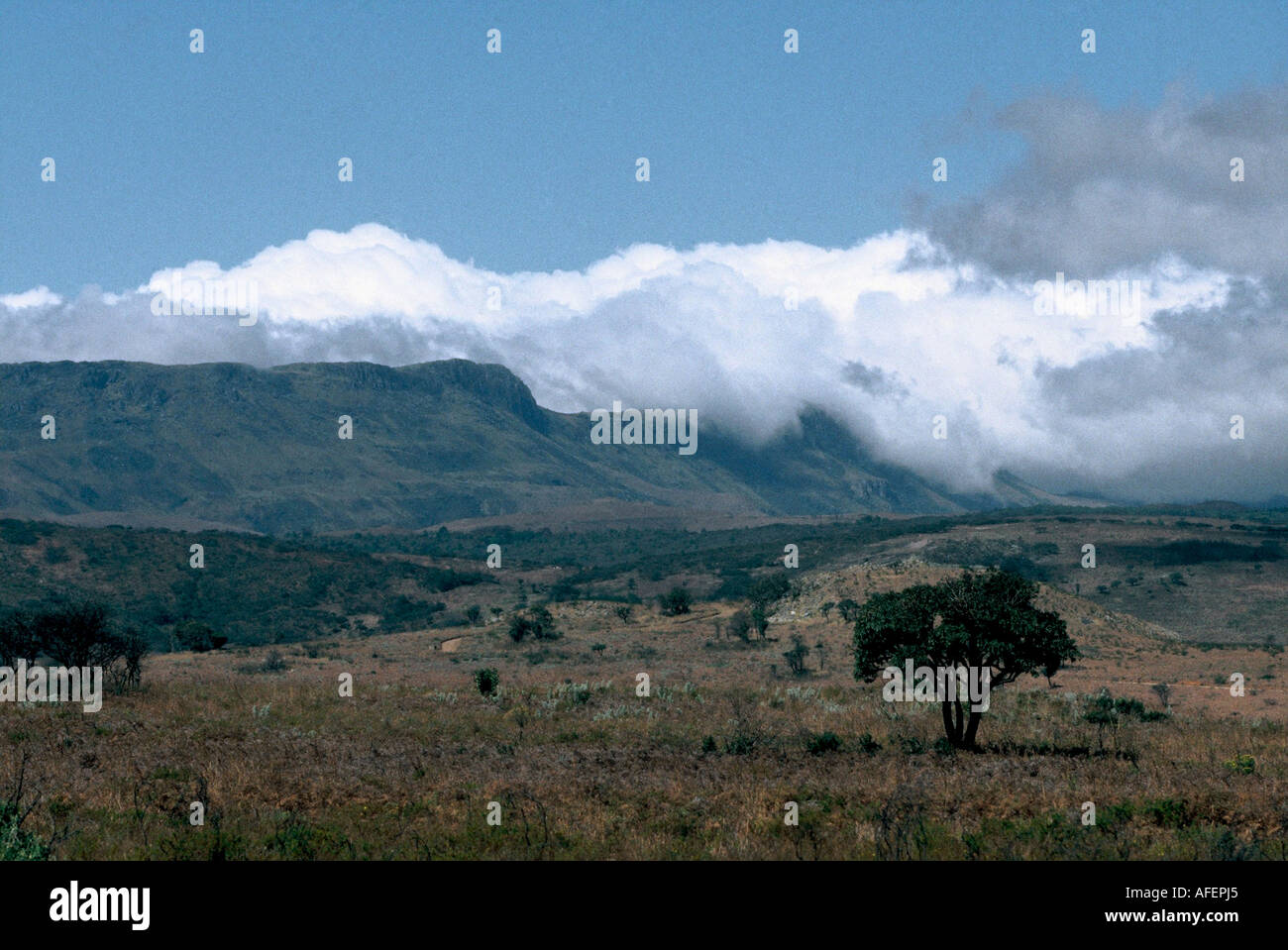 Nyanga mountains hi-res stock photography and images - Alamy