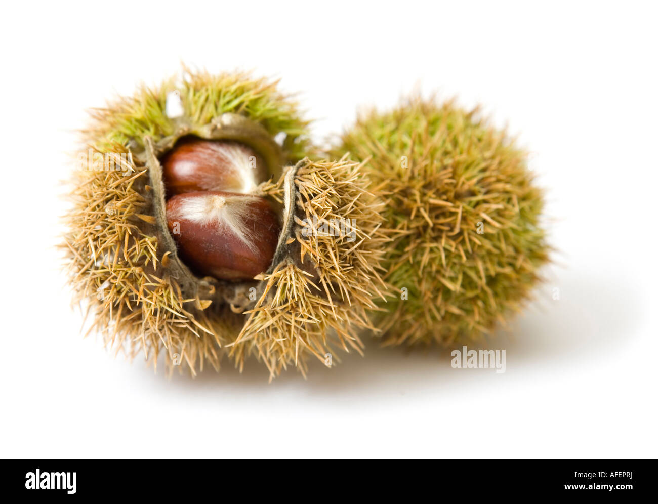 Sweet chestnuts isolated on a white background Stock Photo - Alamy