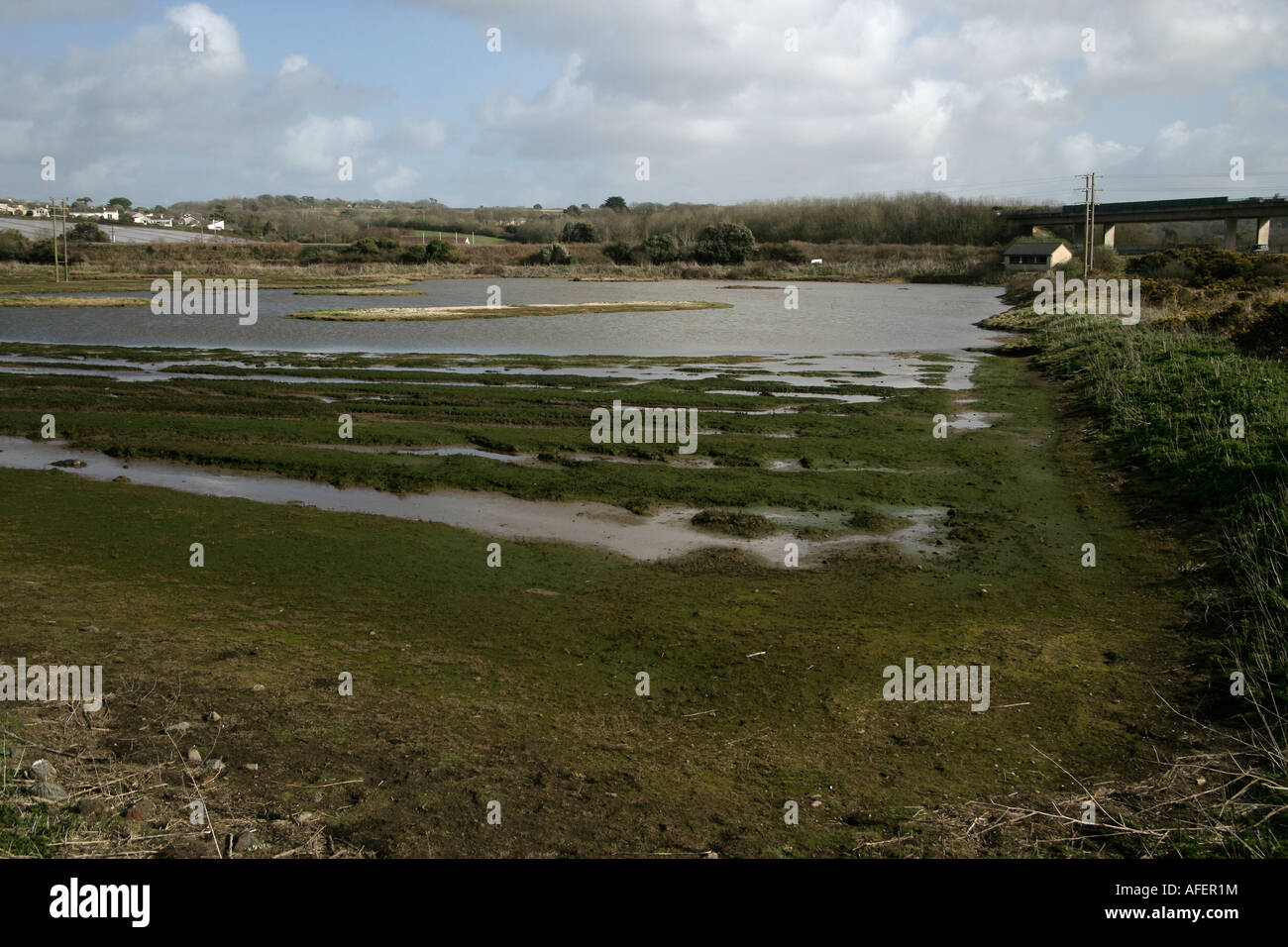 Rspb hayle estuary hi-res stock photography and images - Alamy
