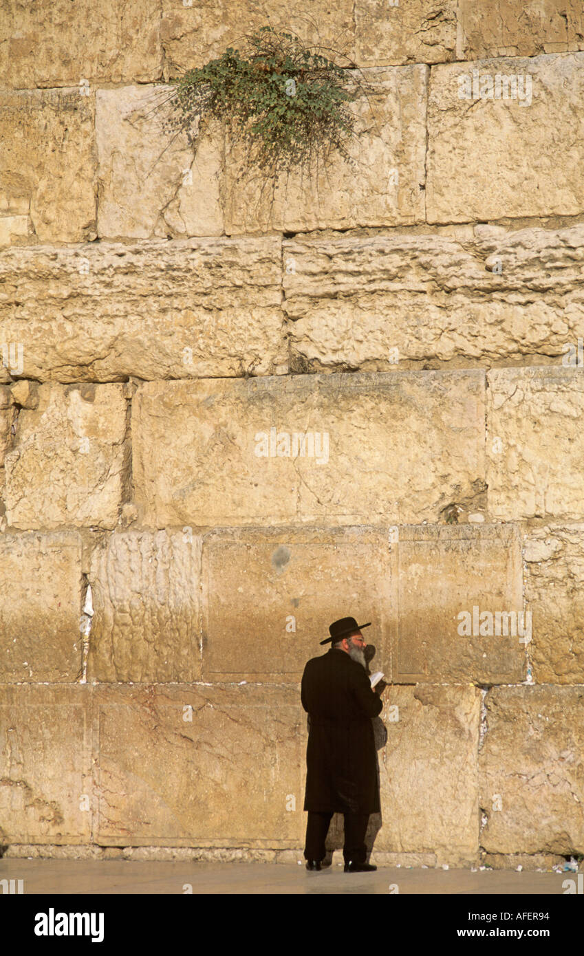 Orthodox Jew at the Wailing Wall Jerusalem Stock Photo - Alamy