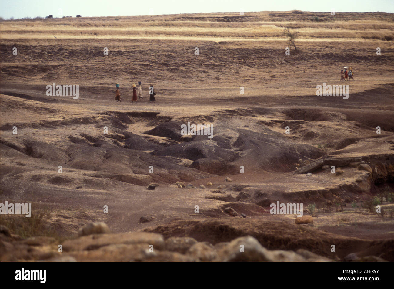 Tribe folk horizontal nature landscape soil conservation masai maasai masai hi-res stock ...