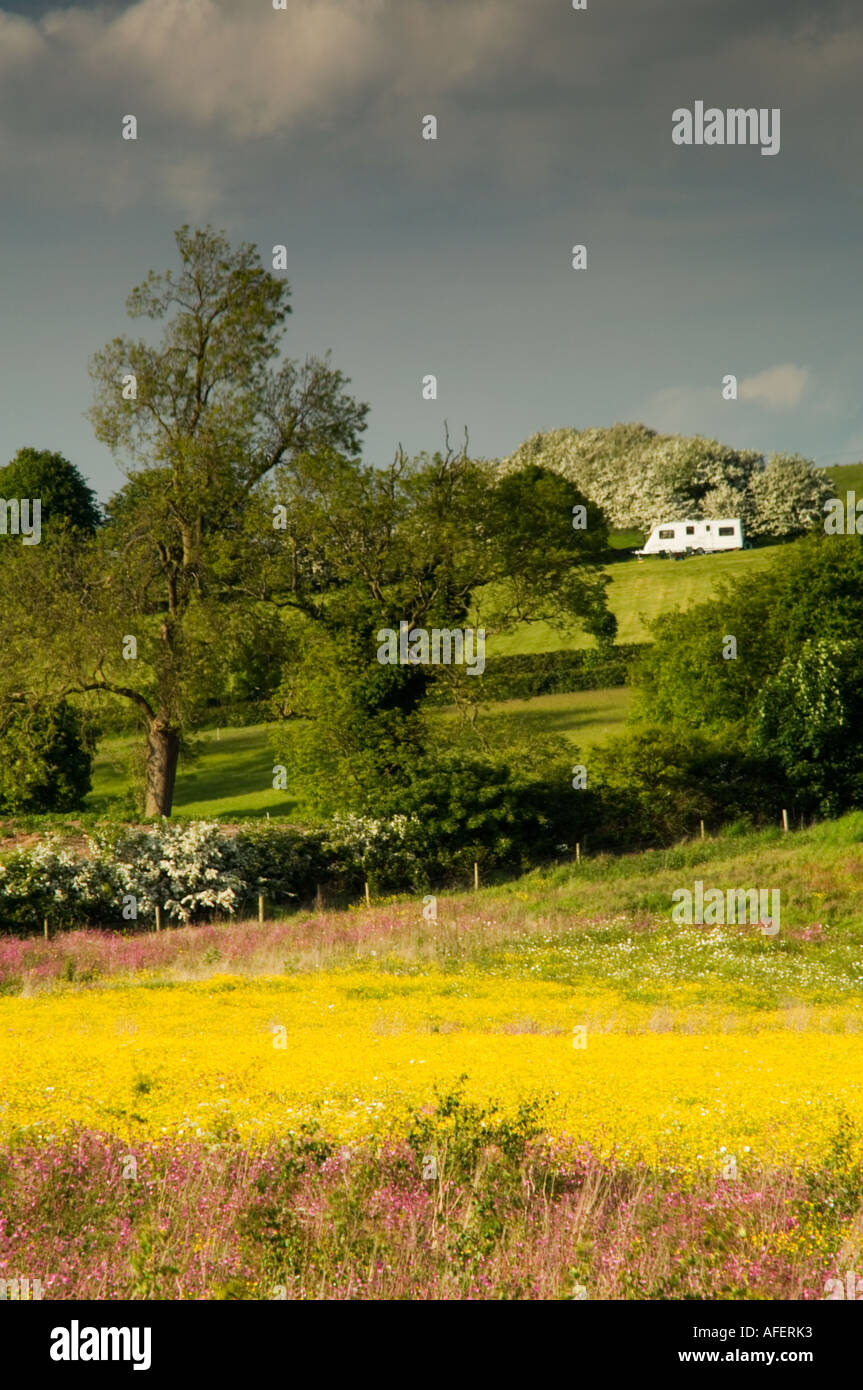 Caravan Above Wild Flower Meadows Near Alvanley Cheshire England UK ...