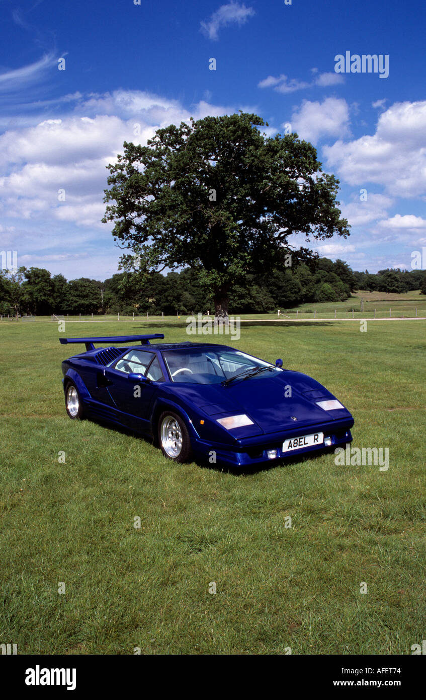 Lamborghini Countach Anniversary 1988 to 90 Stock Photo - Alamy