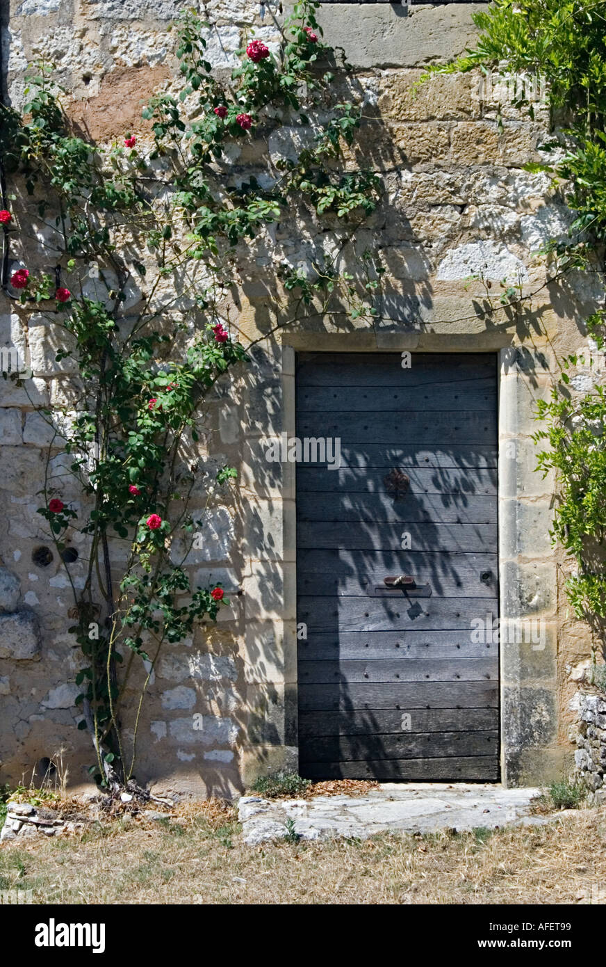 Door and climbing plants in the medieval bastide village of Monpazier ...