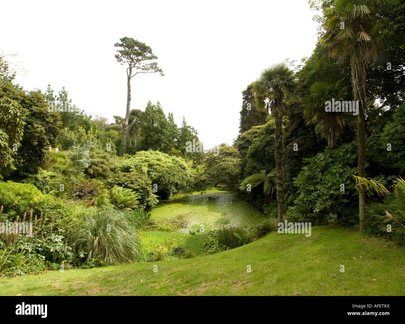 Cornwall Gardens of Heligan England Stock Photo - Alamy