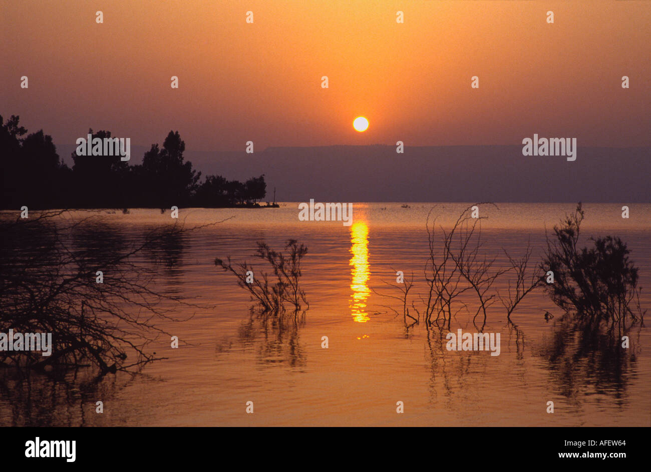 Israel Sea of Galilee northern area Tabgha sunrise with lake and bushes ...