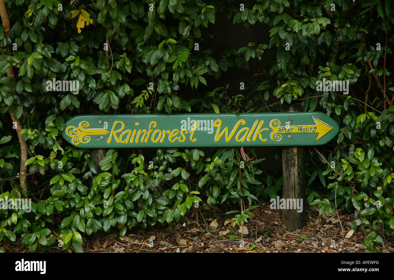 A sign at a rain forest area in Southern Queensland Australia Stock ...