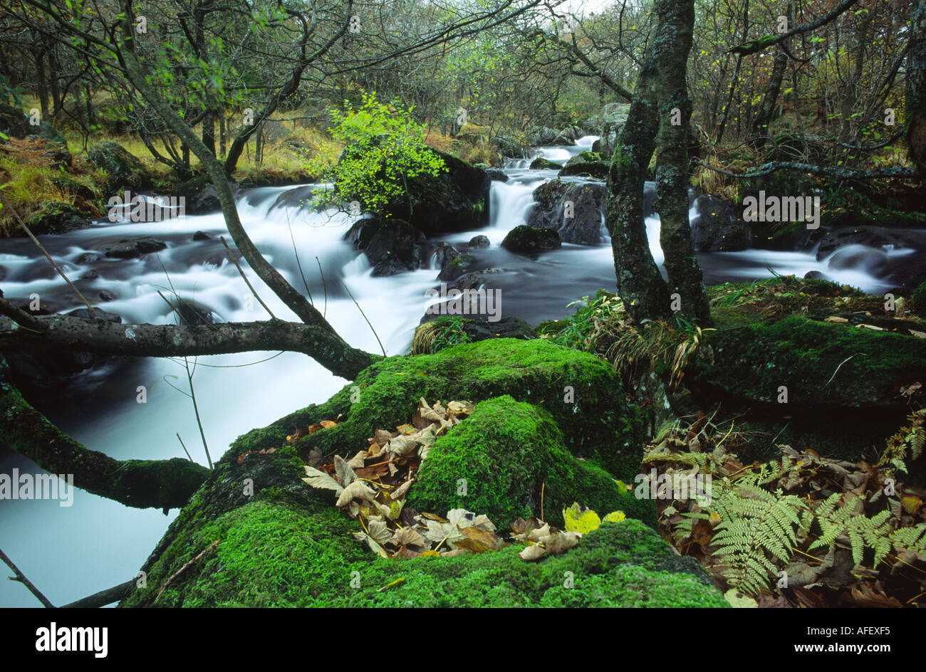 The river Duddon flowing through Seathwaite in the Lake District ...