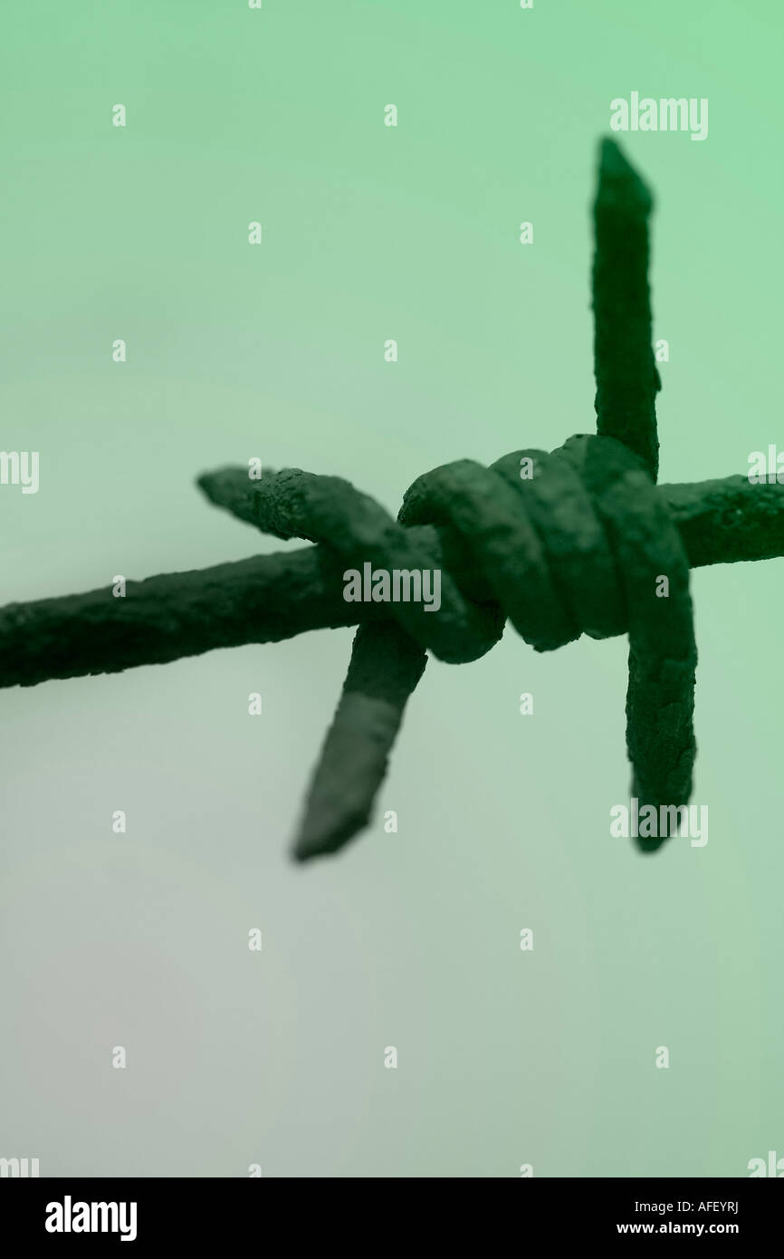 Barb wire close up Stock Photo - Alamy